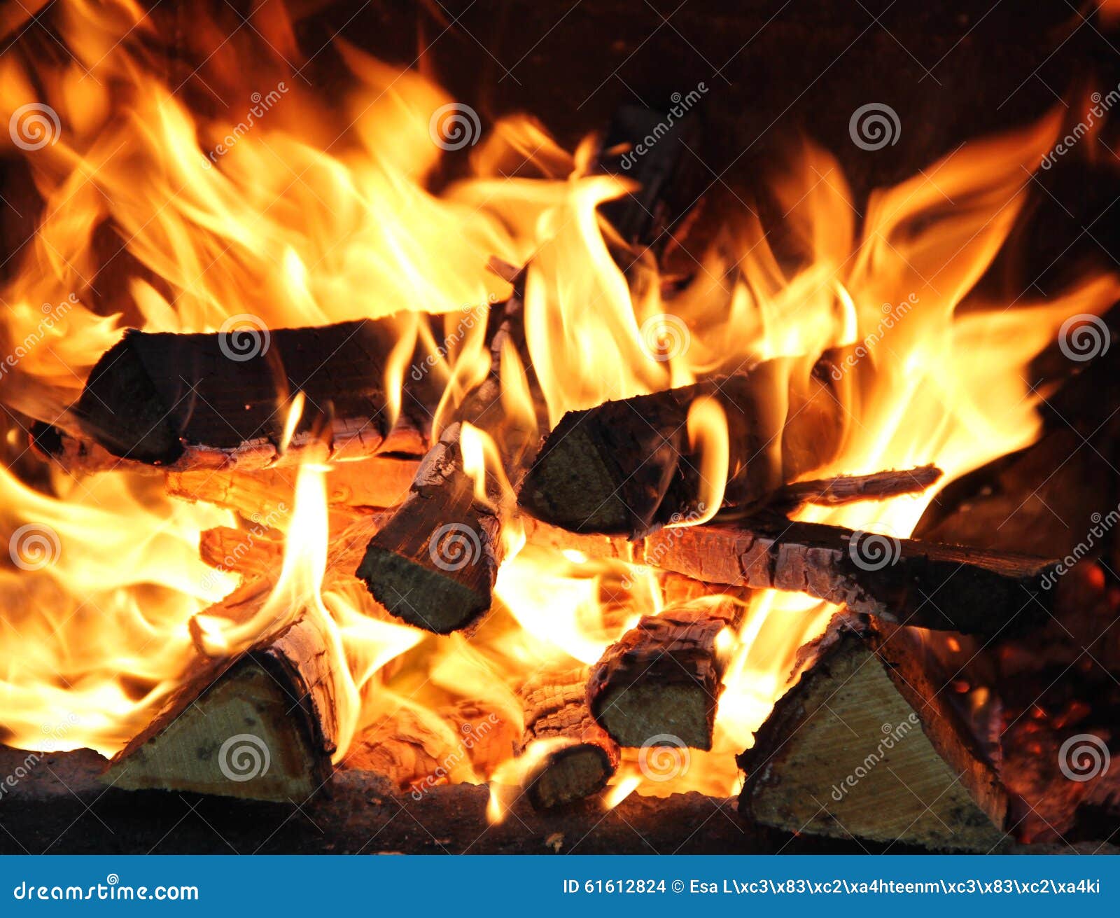 Open fire stock photo. Image of sausage, fotoespe, heat - 61612824