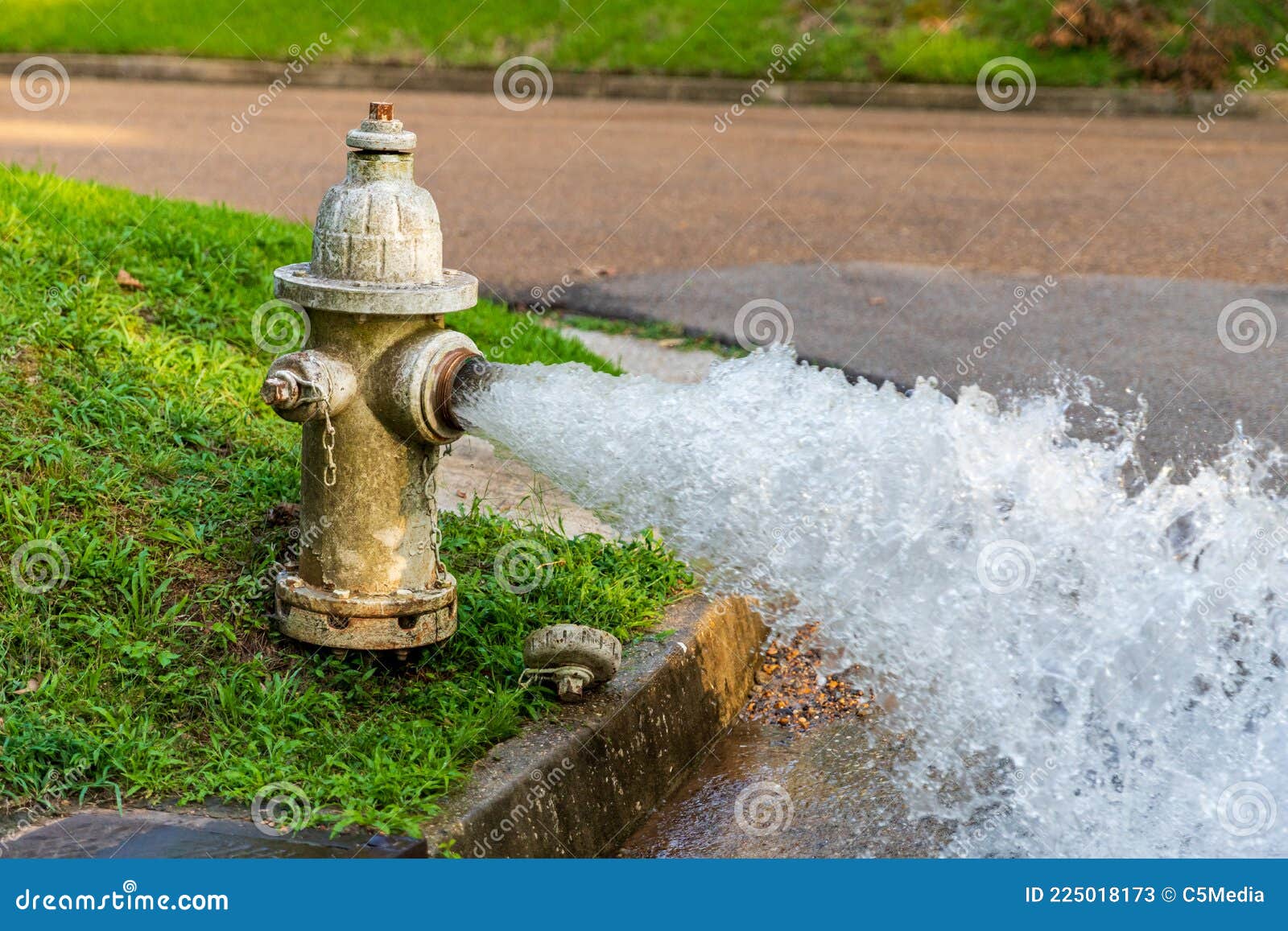 Open Fire Hydrant Gushing Water Onto Street Stock Image - Image of ...