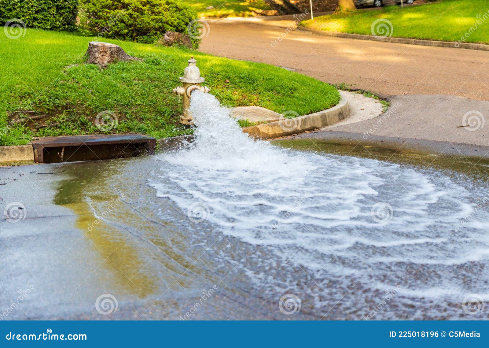 Open Fire Hydrant Gushing Water Onto Street Stock Photo - Image of ...