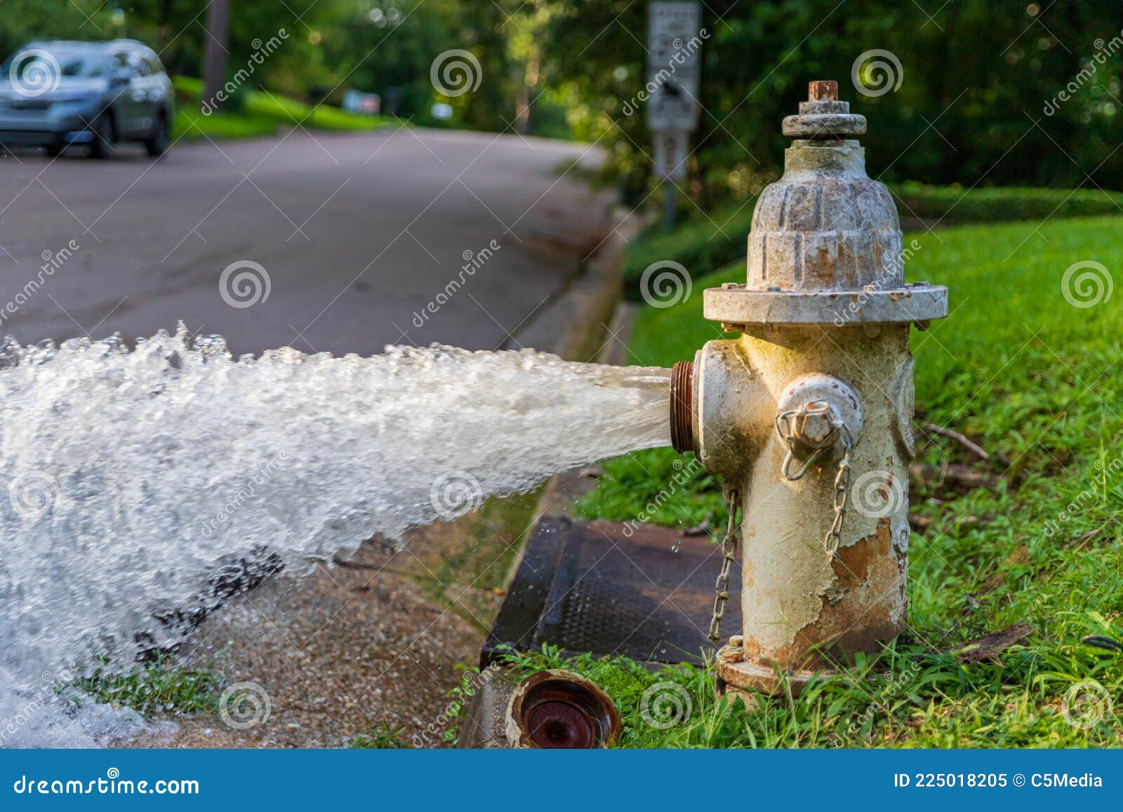 Open Fire Hydrant Gushing Water Onto Street Stock Image - Image of ...