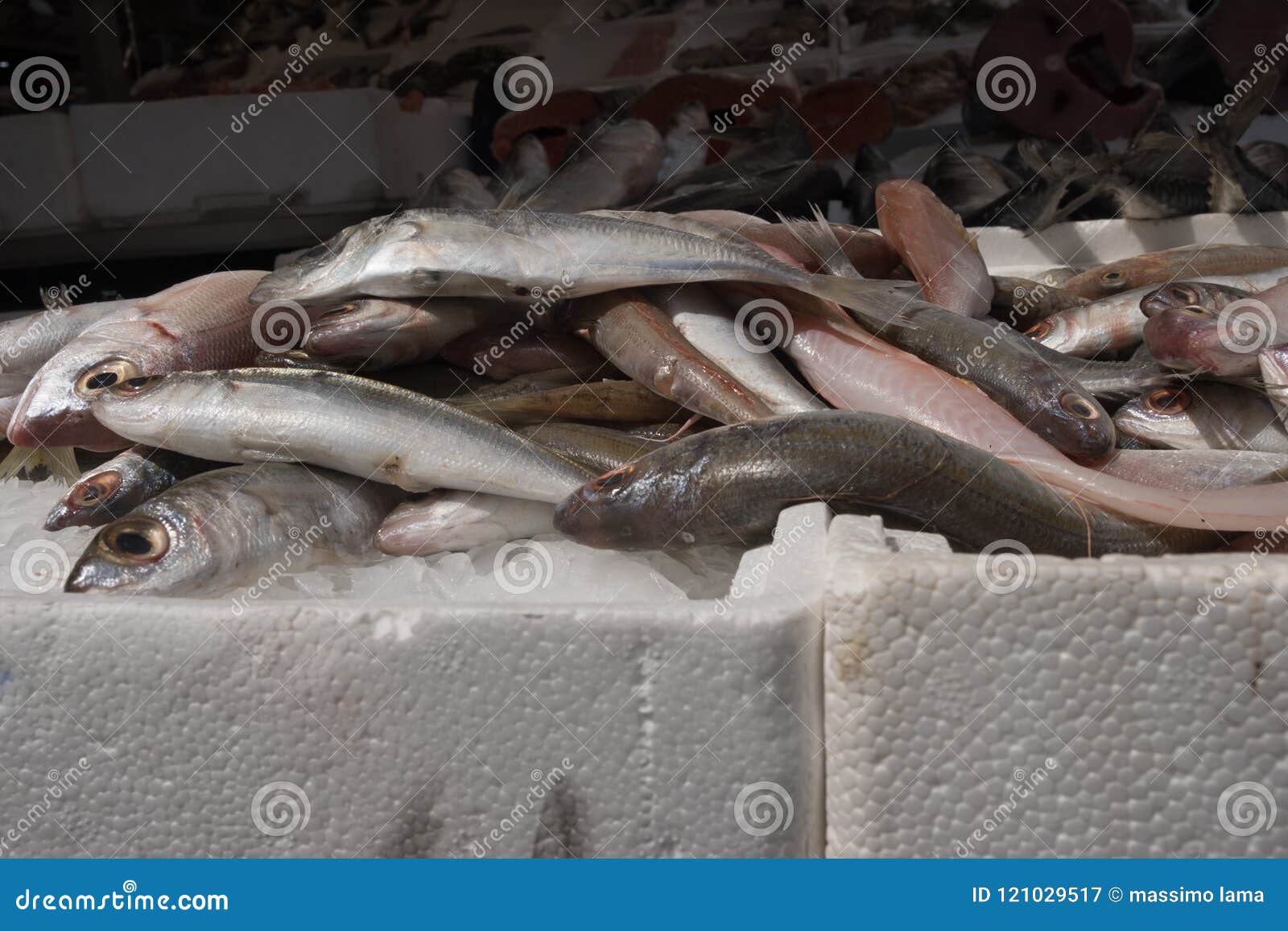 Open fish market stock image. Image of azzurro, napoli - 121029517