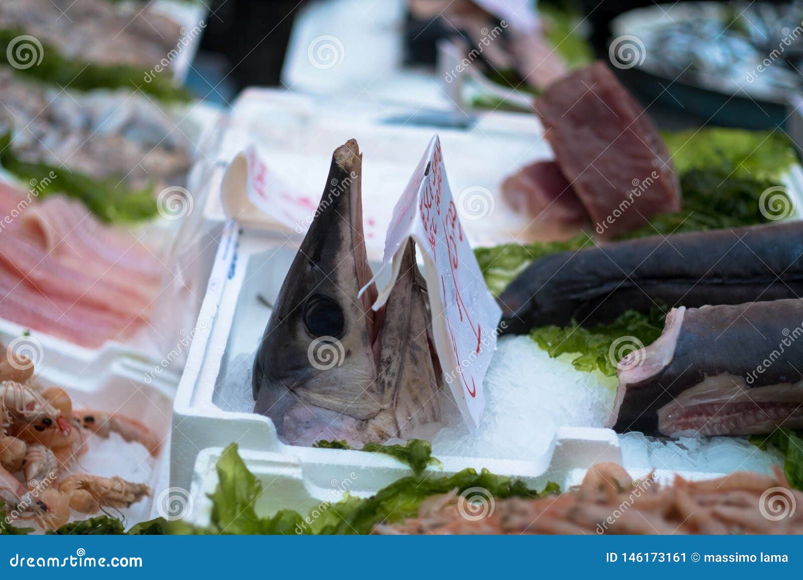 Open fish market stock image. Image of cutlery, hangover - 146173161