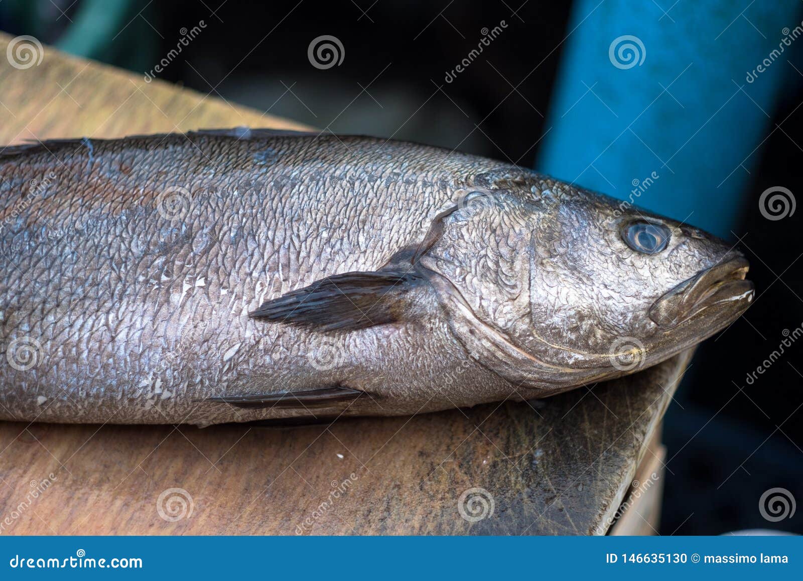 Open fish market stock photo. Image of cuisine, coryphaena - 146635130