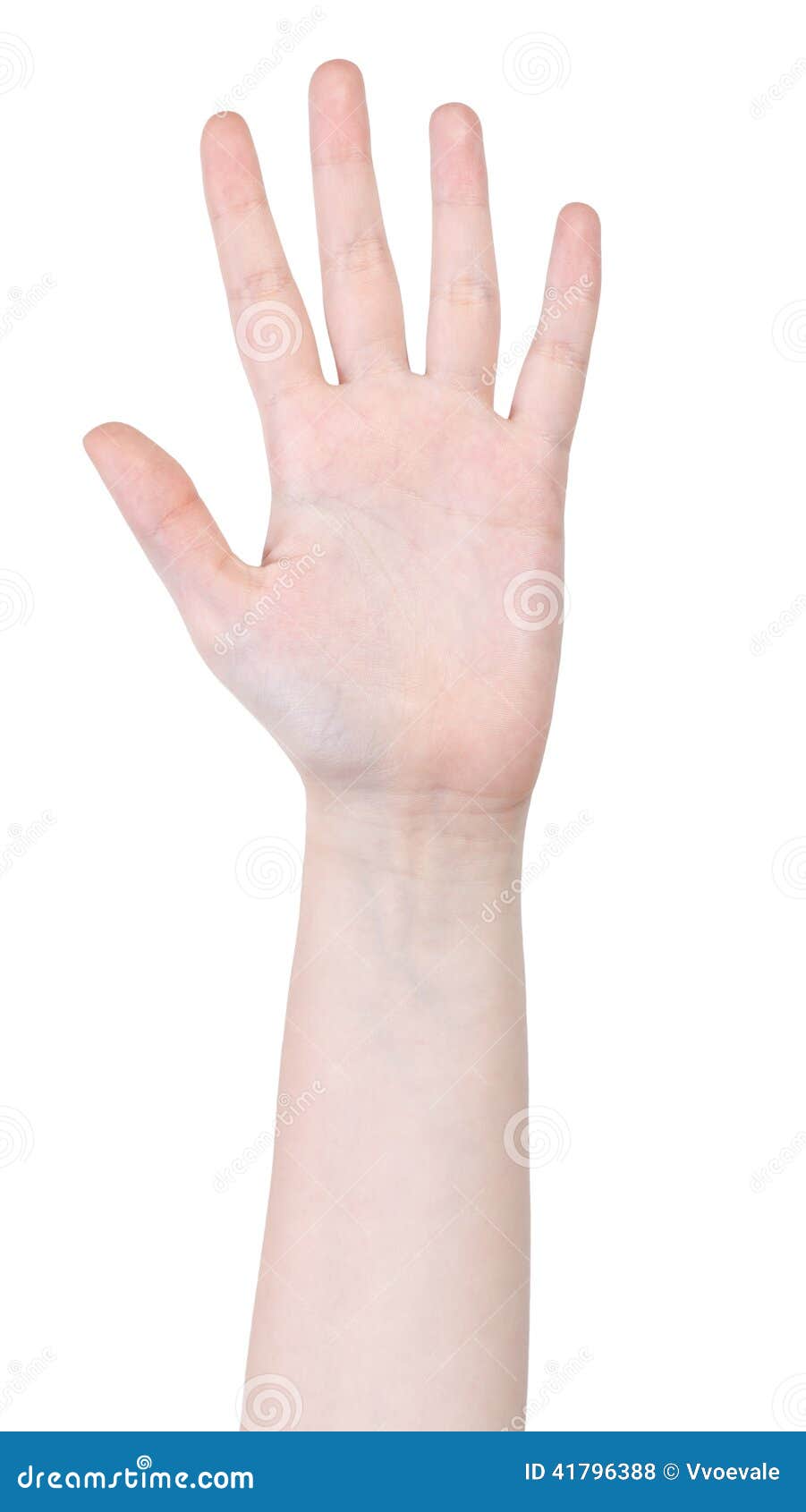 Open Five Fingers Hand Gesture Stock Photo - Image of count, female ...