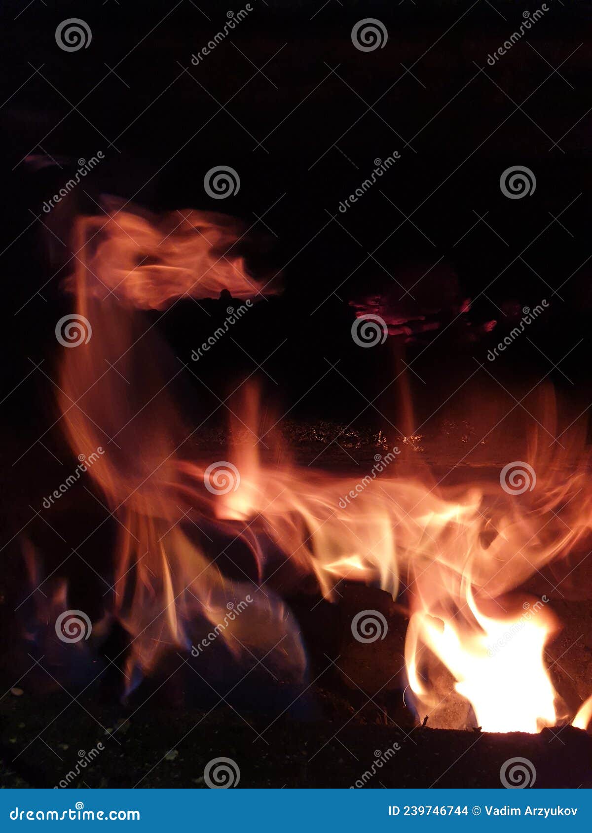 An Open Flame of Fire, Burning Coals in the Fireplace or in a Solid ...