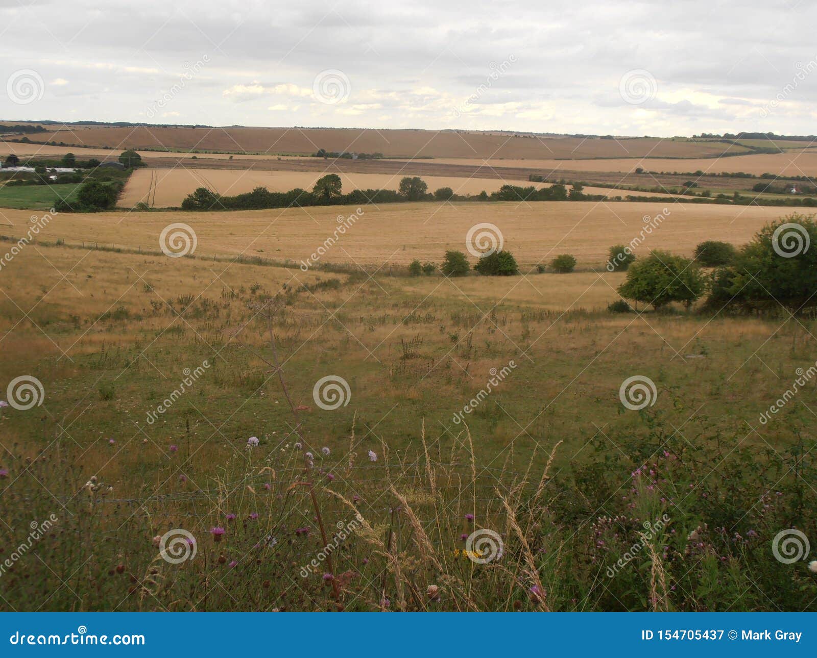 Open and Free stock image. Image of countryside, trees - 154705437
