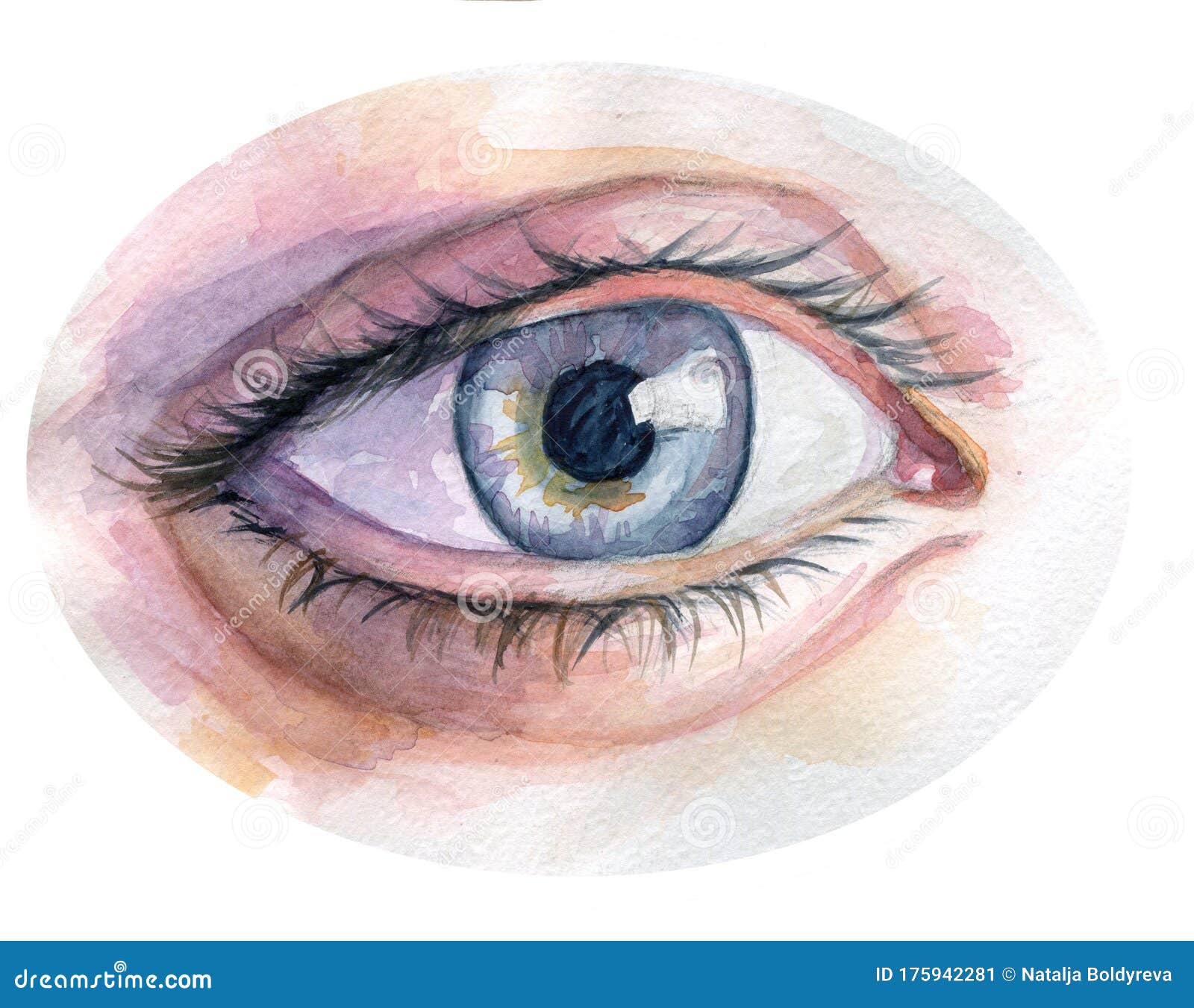 Open Front Looking Watercolor Blue Eye Stock Illustration ...