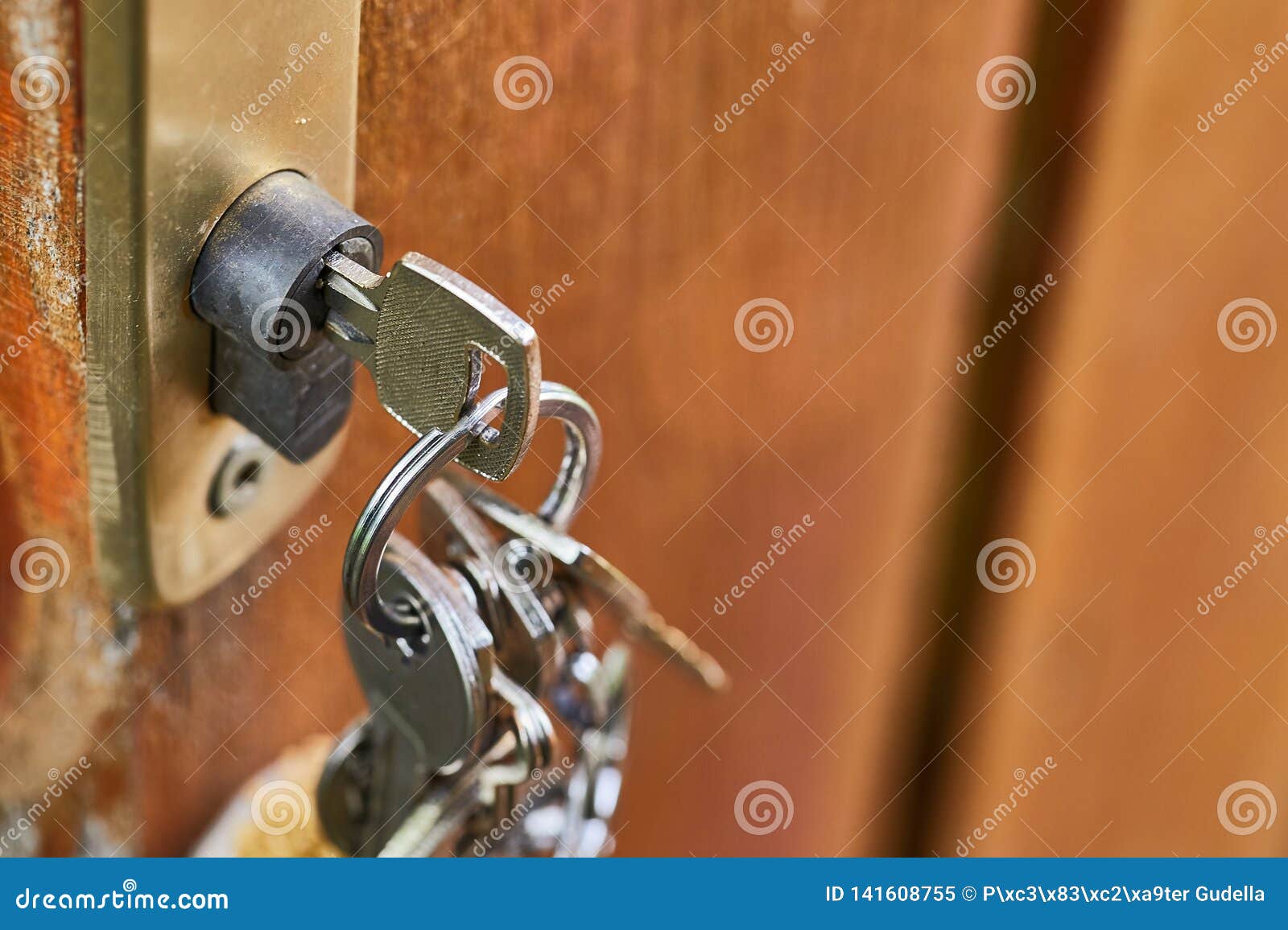 Open garden gate with key stock image. Image of home - 141608755