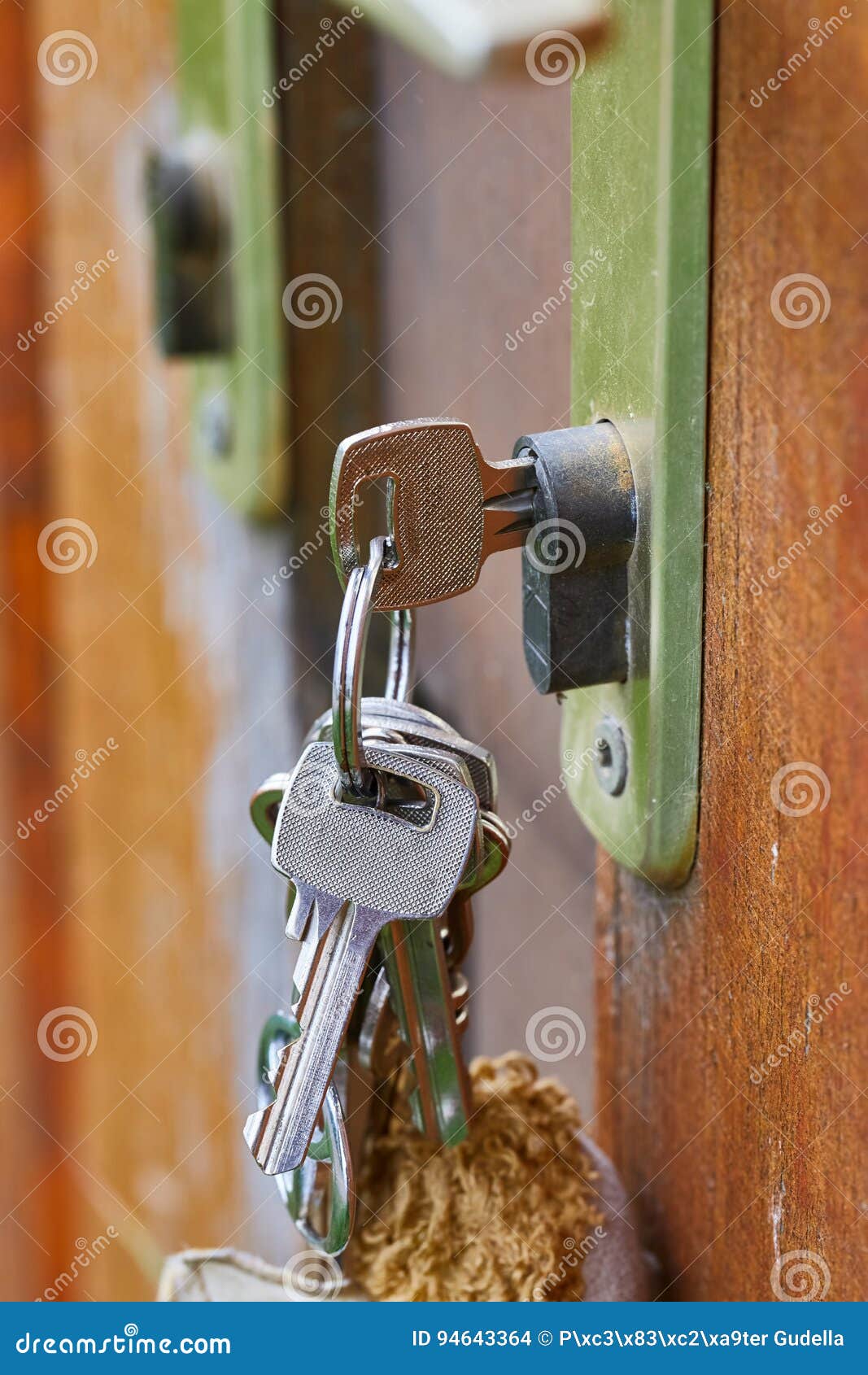 Open garden gate with key stock photo. Image of door - 94643364
