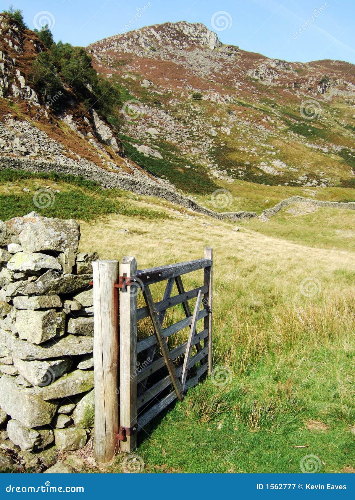 Open Gate Royalty-Free Stock Photography | CartoonDealer.com #1562777
