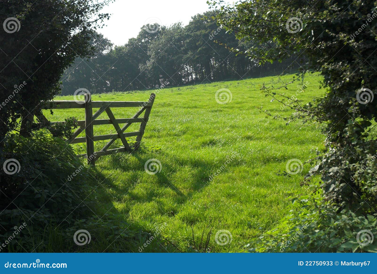 Open Gate stock image. Image of farm, grass, pasture - 22750933