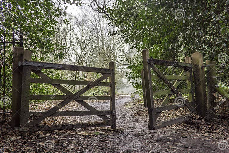 Open Gate stock image. Image of opportunity, aspiration - 29247505