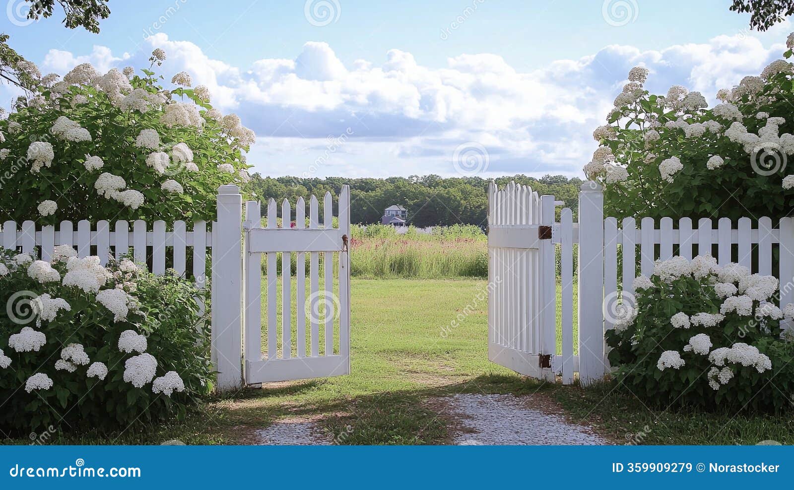 Open Gate: a Gate Ajar in a White Picket Fence. Stock Image - Image of ...