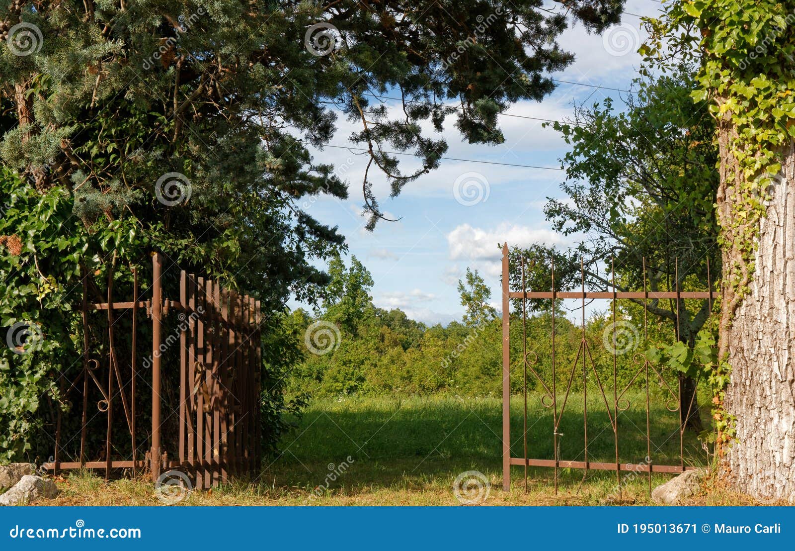 Open Gate in the Countryside Stock Image - Image of open, natural ...
