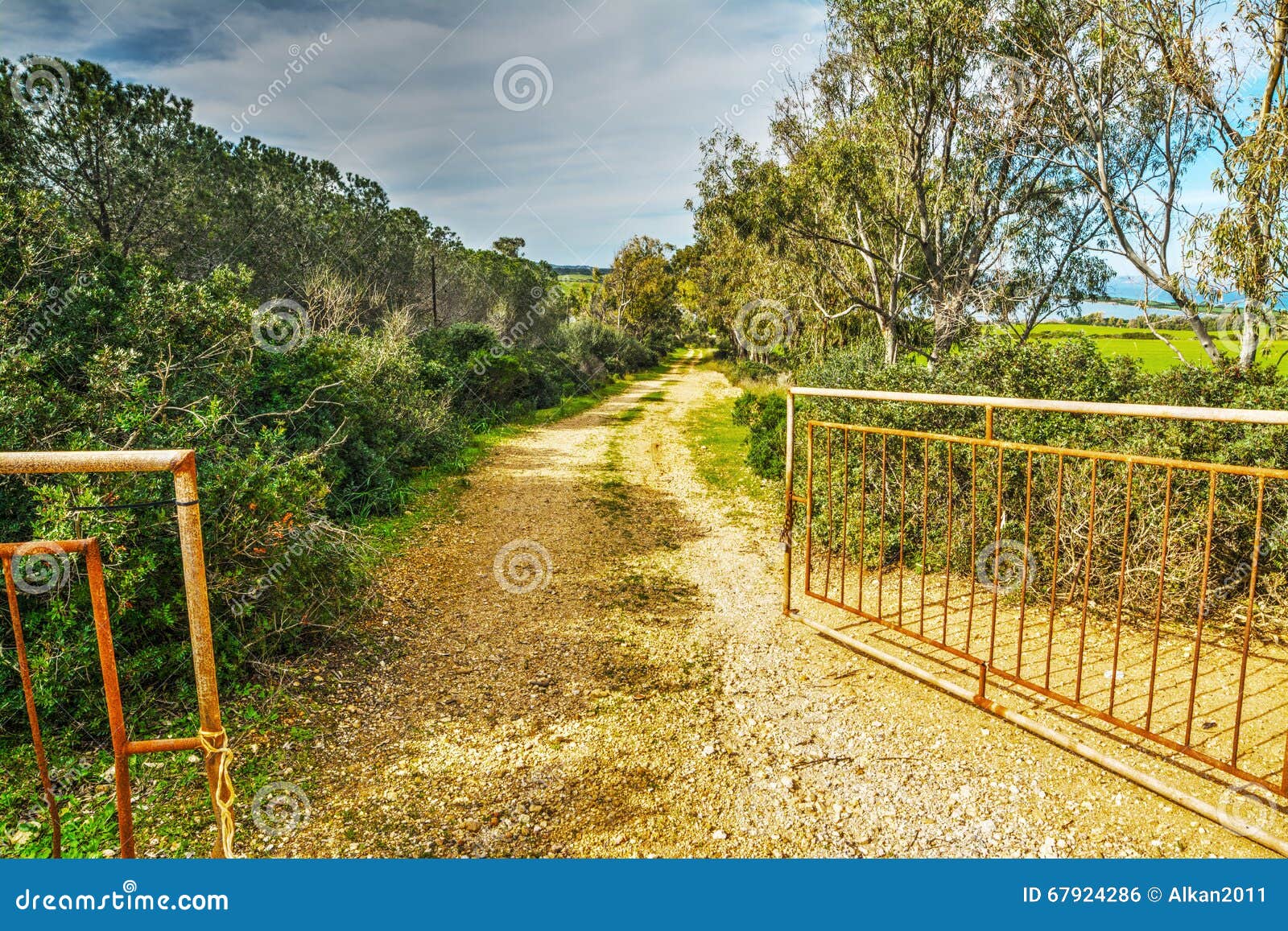 Open Gate in the Countryside Stock Photo - Image of park, foliage: 67924286