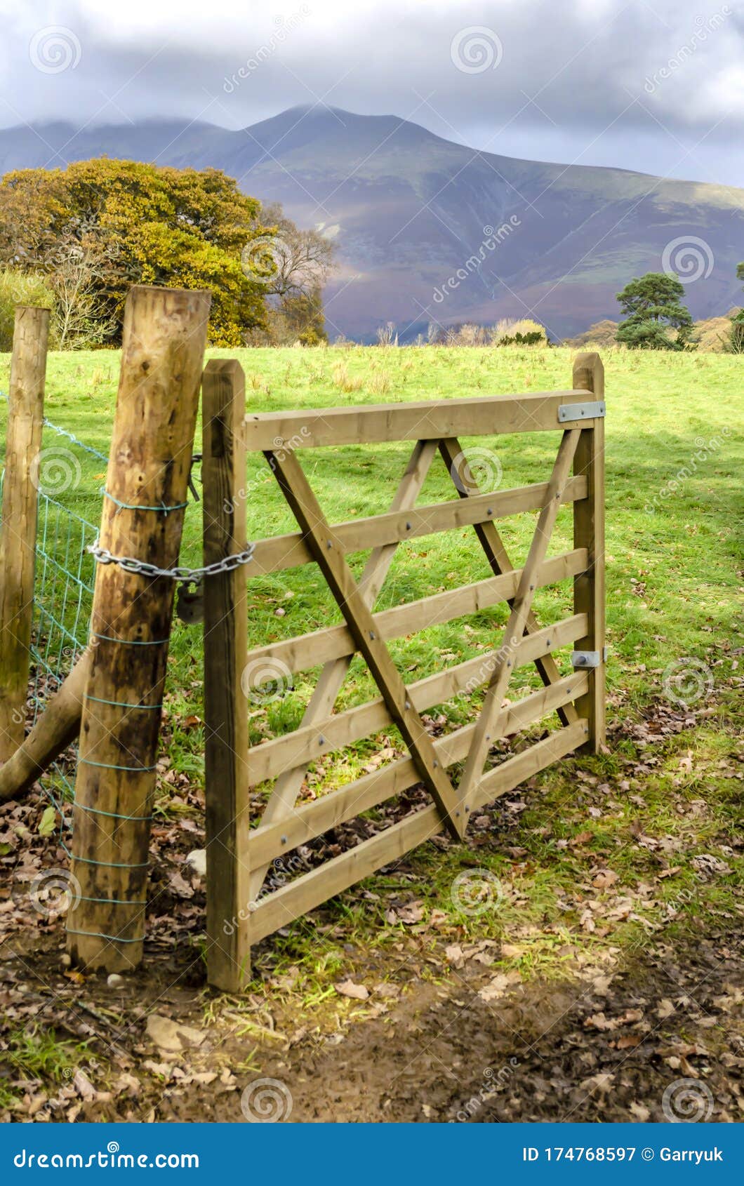 Open Gate in the Countryside Stock Image - Image of scenic, rural ...