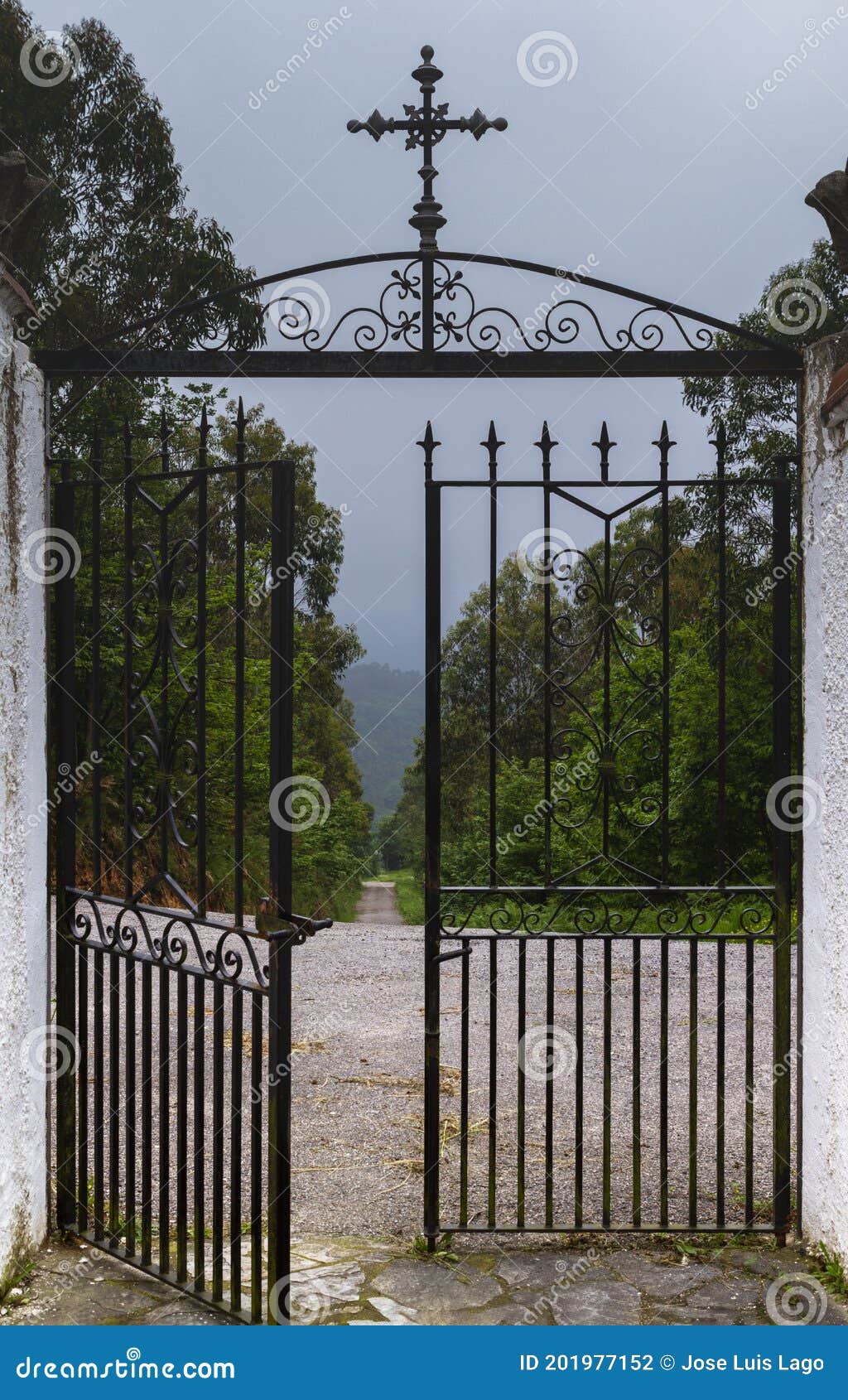 Open Gate Leading To Path in Forest Stock Photo - Image of exit, grass ...