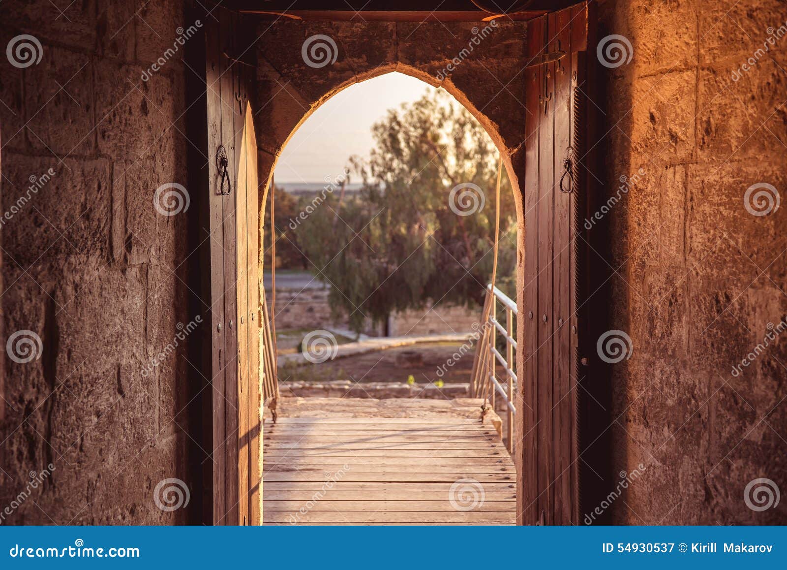 Open Gate Royalty-Free Stock Photography | CartoonDealer.com #1562777