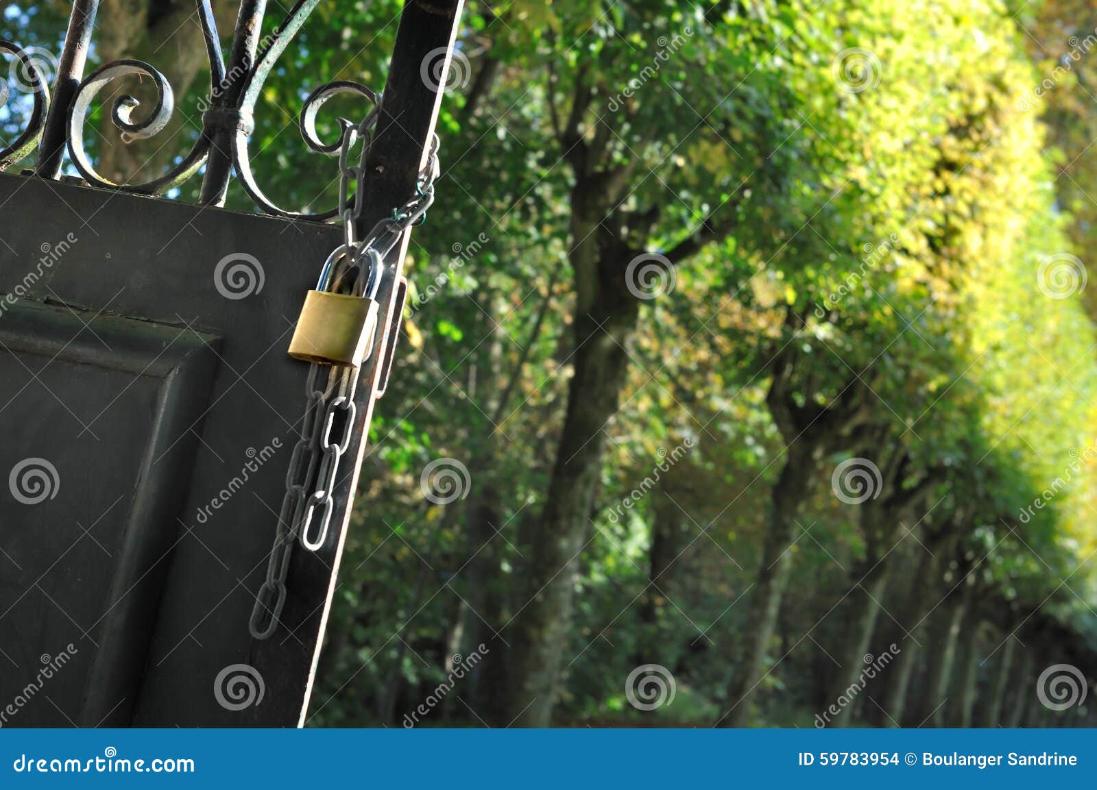 Open gate stock photo. Image of access, lock, trees, closed - 59783954