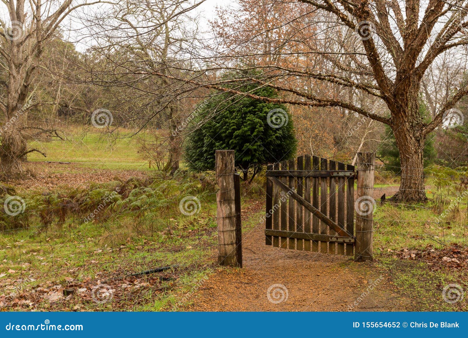 Open Gate on Path in Winter Stock Photo - Image of australia, overcast ...