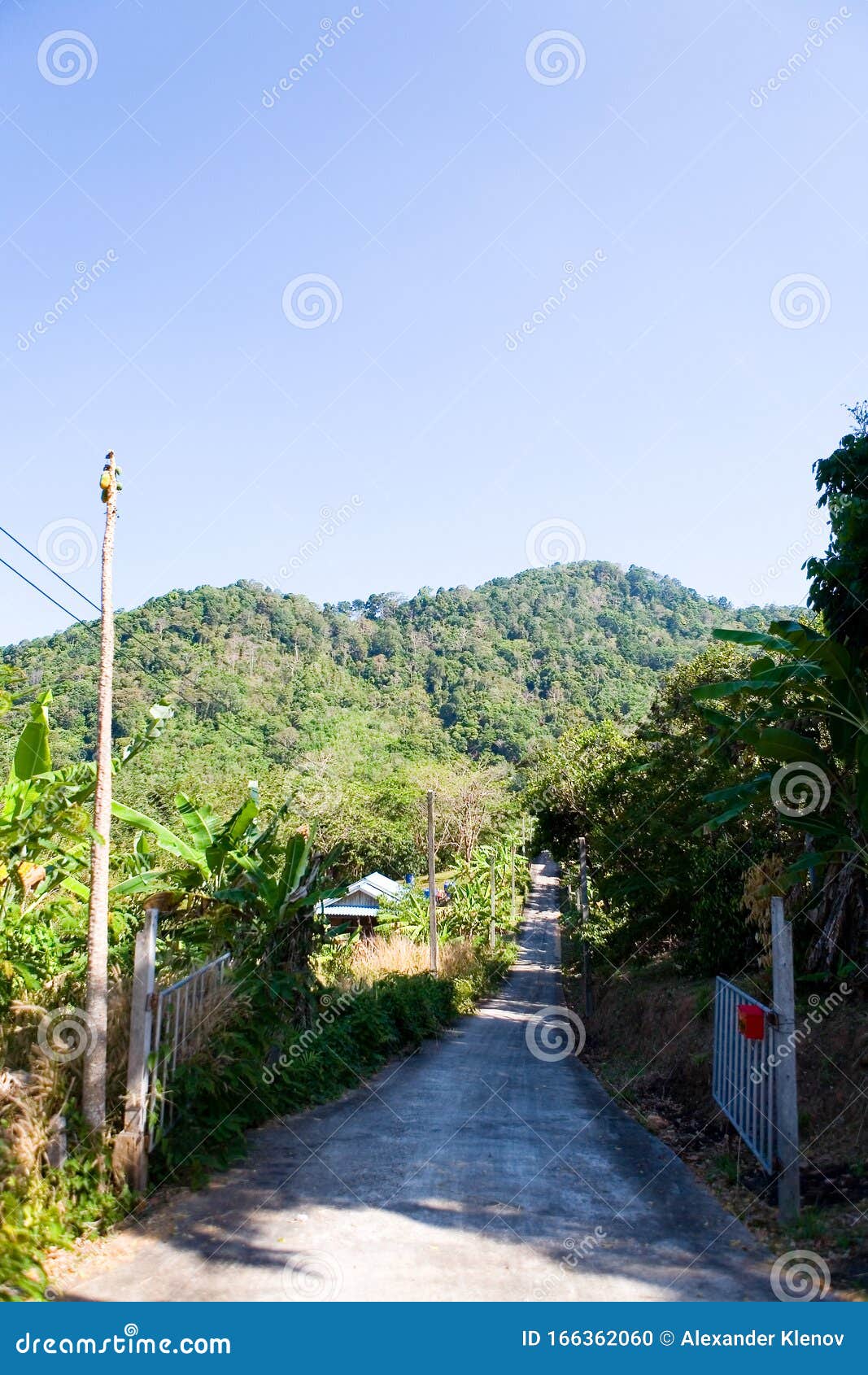An Open Gate Road Leads To a Jungle-covered Mountain Stock Photo ...