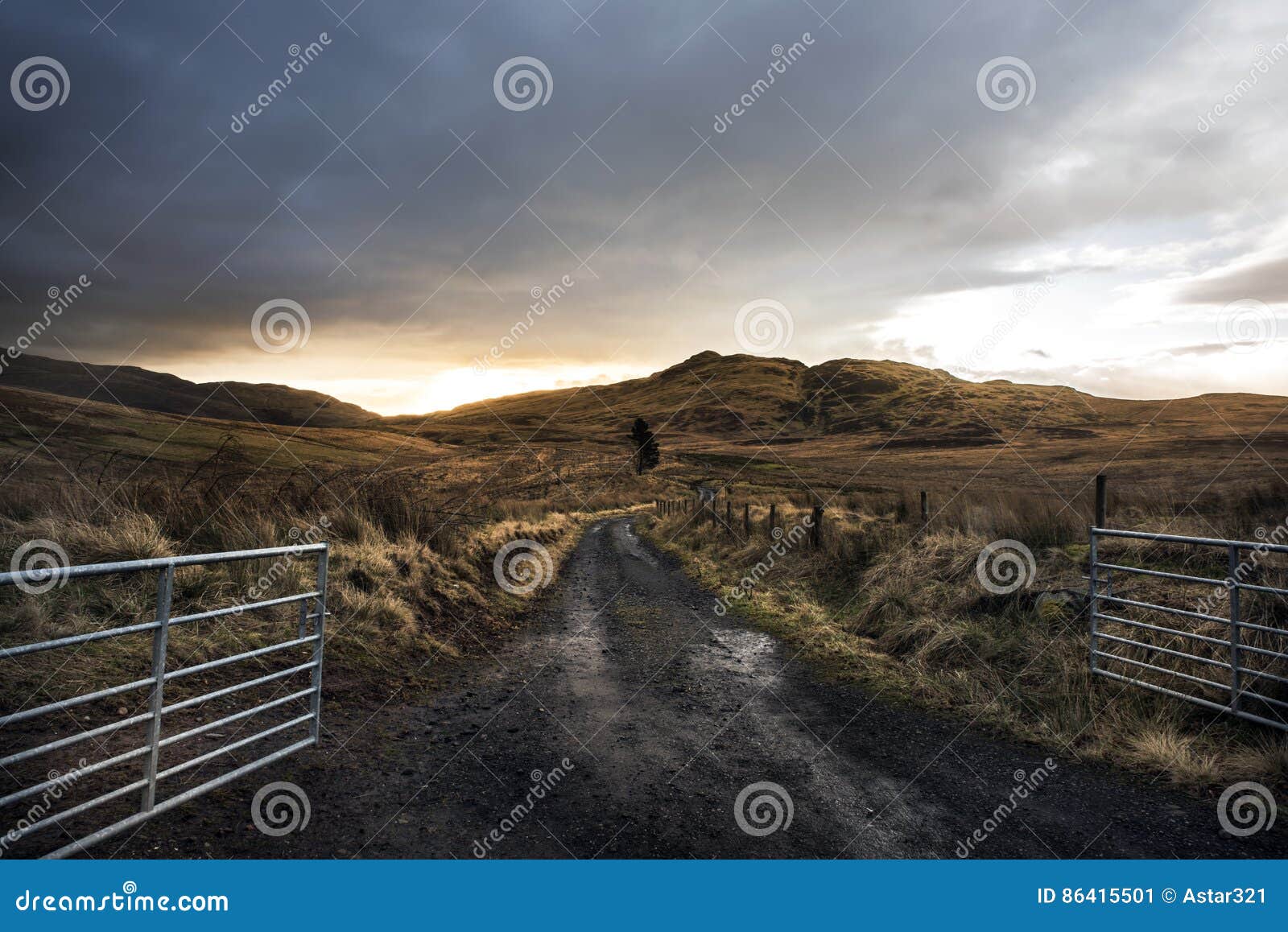 Open Gate in a Scottish Field Stock Image - Image of scenery, moorland ...