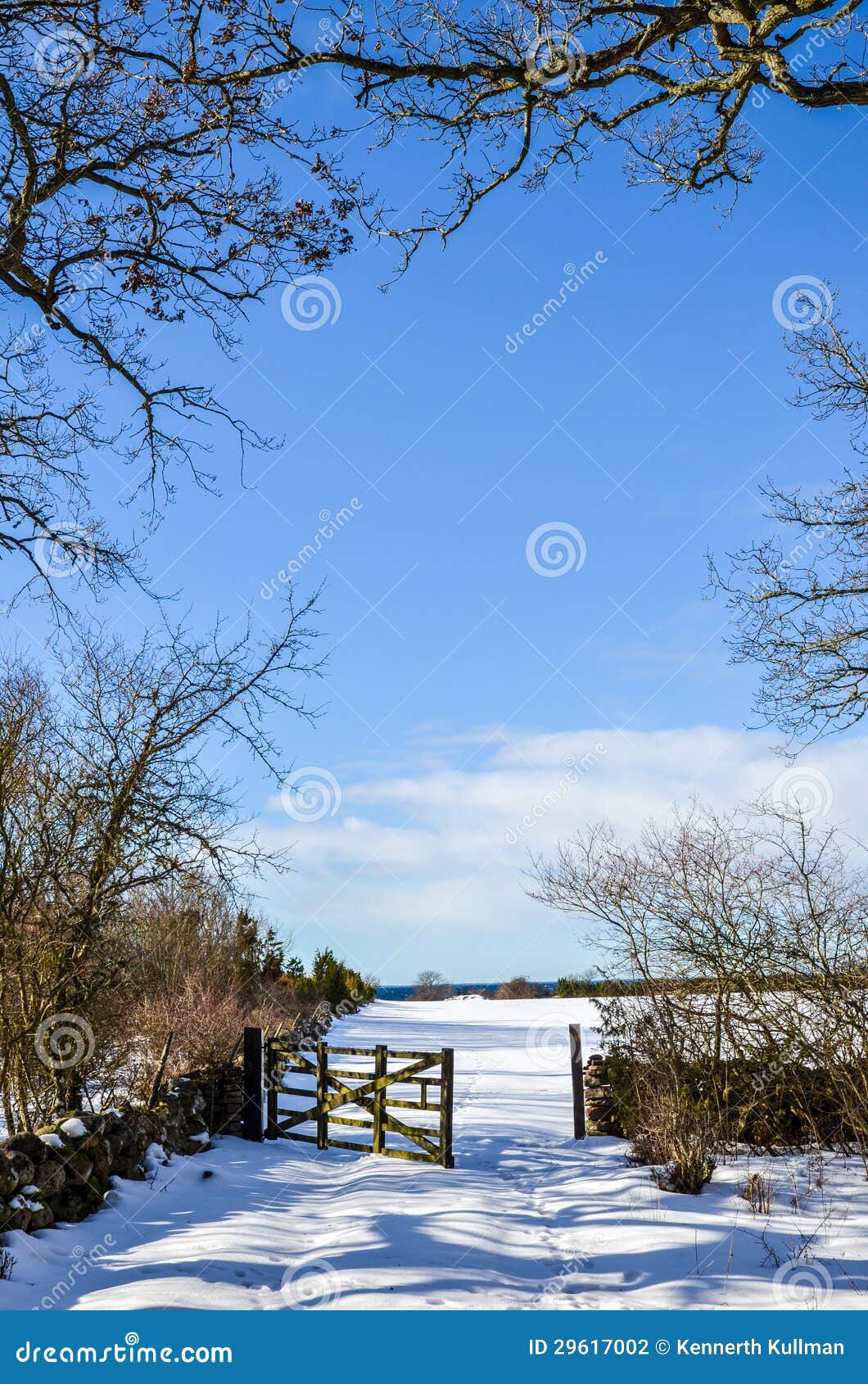 Open gate to field stock photo. Image of open, scene - 29617002