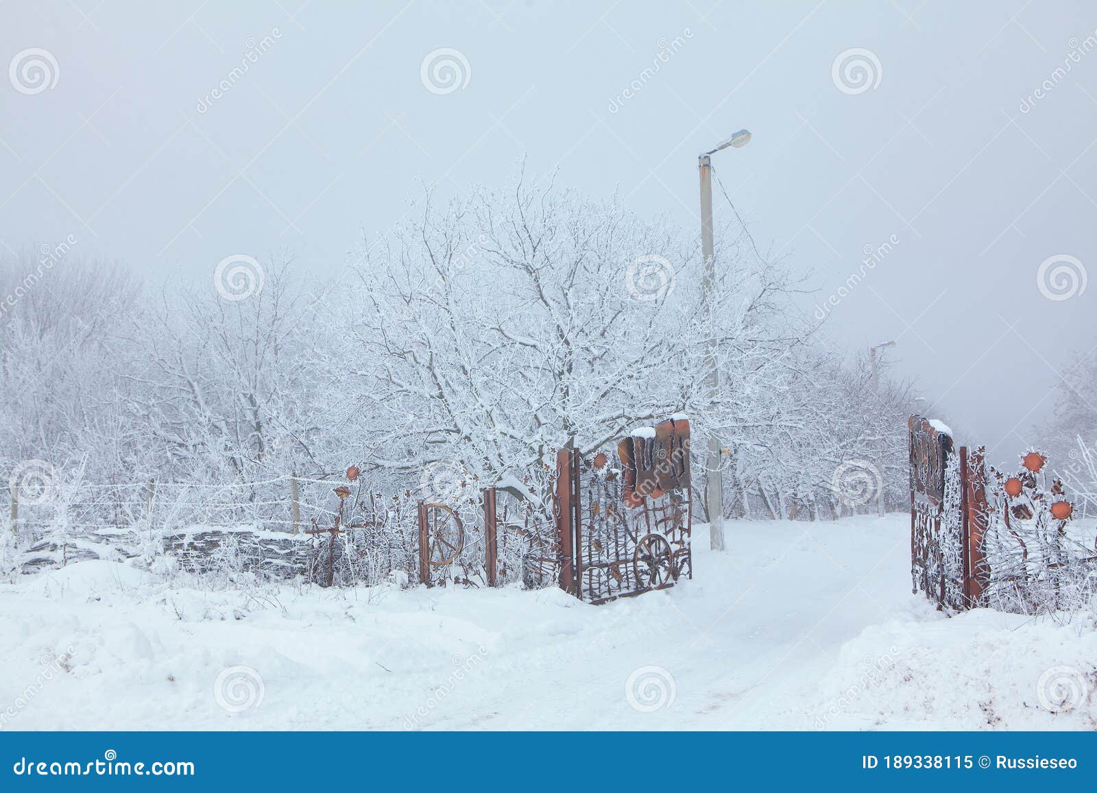 Open Gate in Winter stock image. Image of field, farm - 189338115