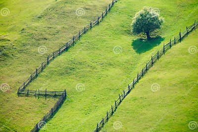 Open grass fields stock photo. Image of landscape, crops - 12867398
