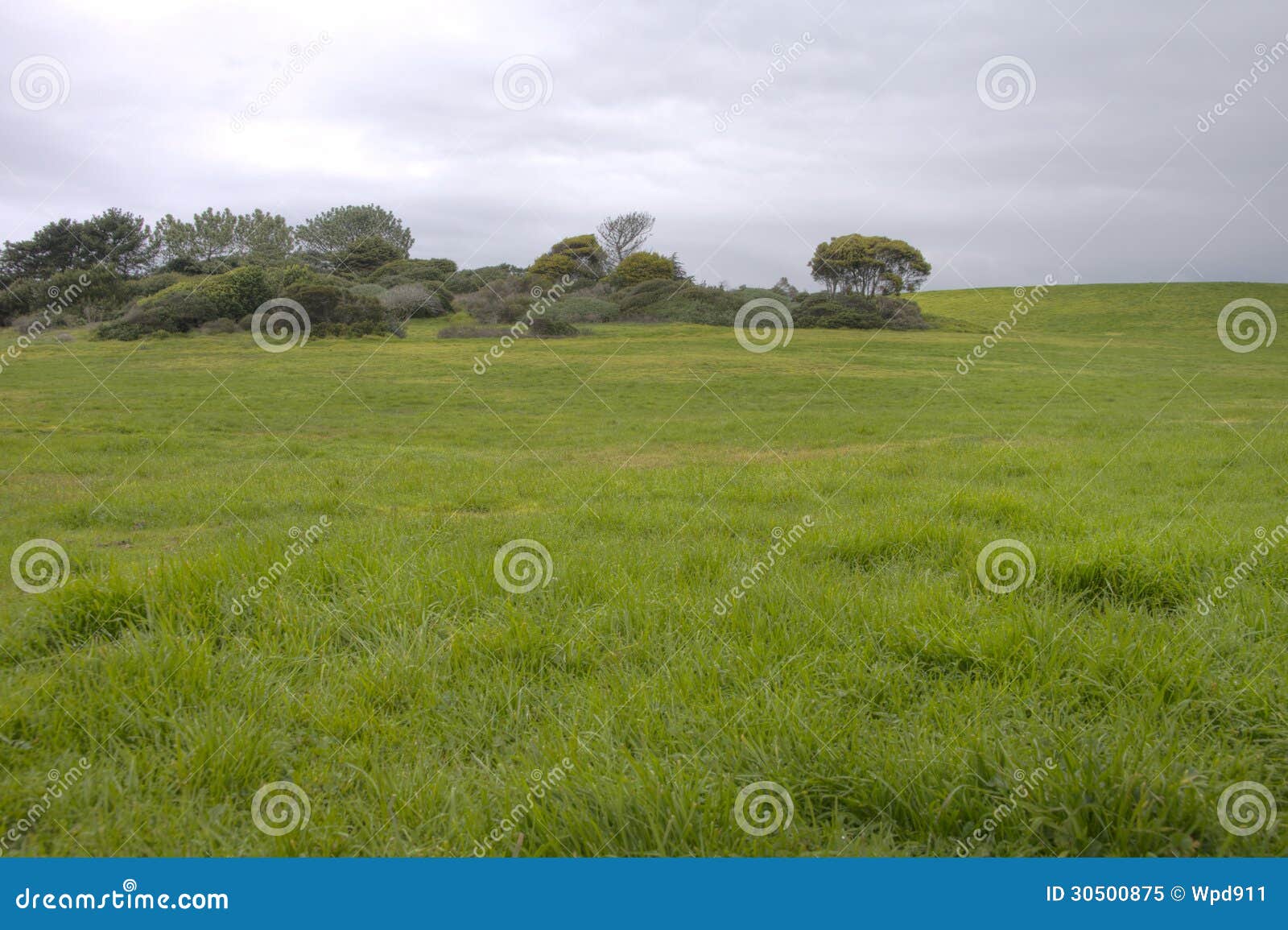 Open Grassy Meadow stock image. Image of dynamic, dramatic - 30500875