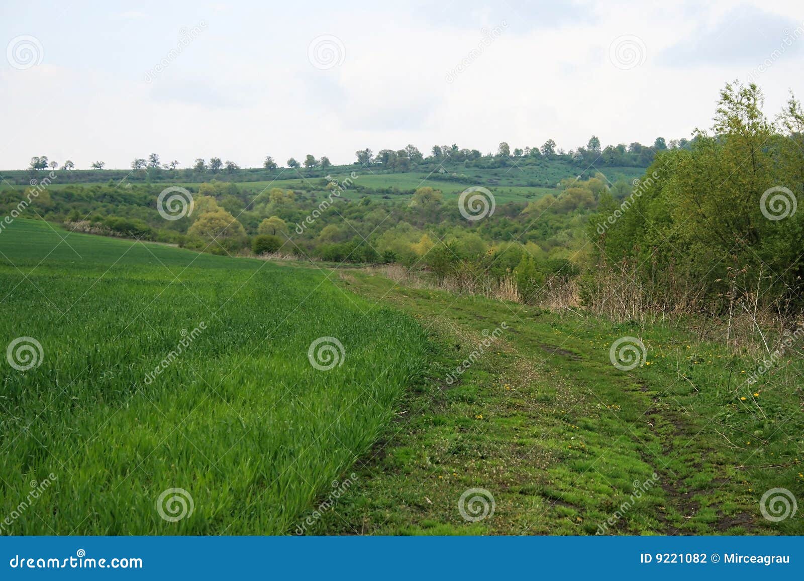 Open green field and road stock photo. Image of grassland - 9221082