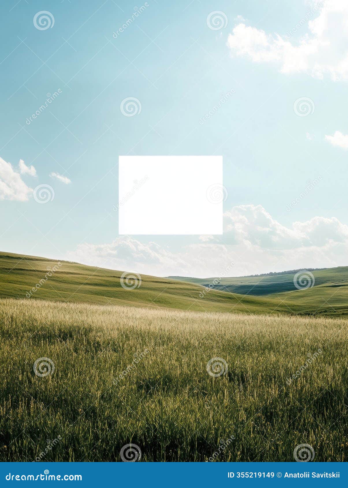 Open Green Fields Under a Bright Sky with Space for Text and Overlay ...