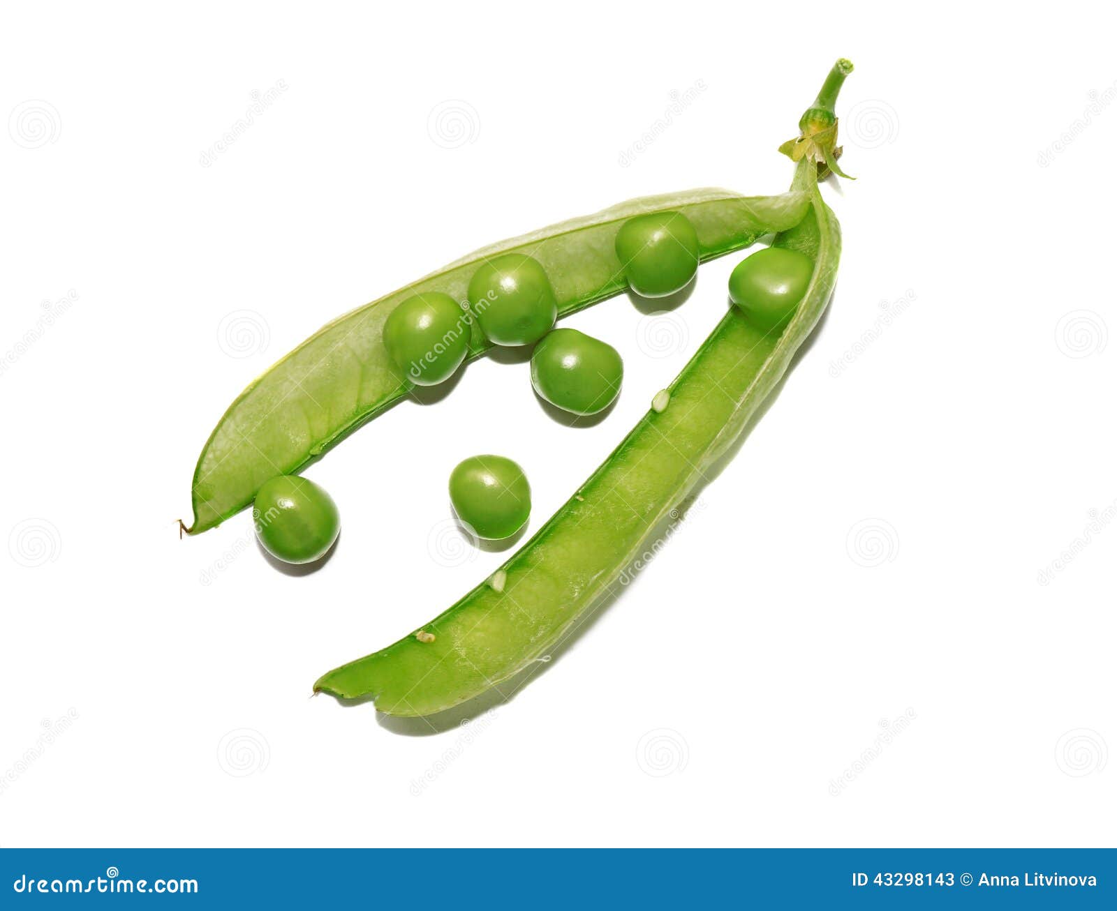 Open Green Pea Pod with Peas Close-up Isolated Stock Image - Image of ...