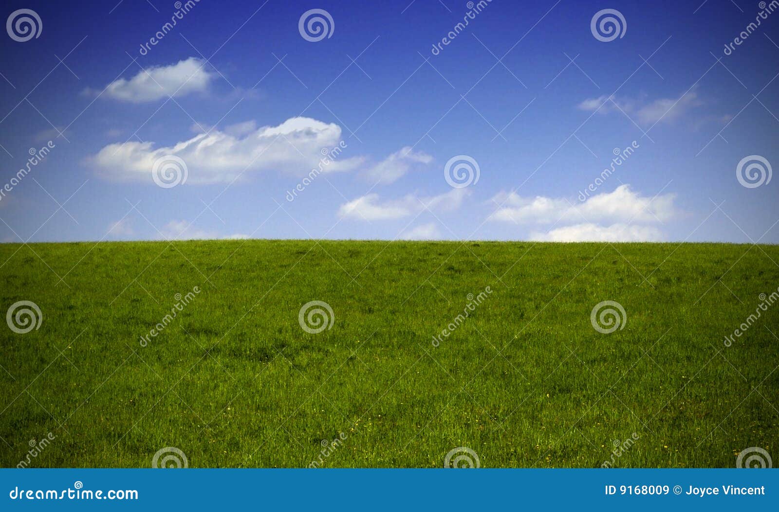 Open green space stock image. Image of blue, nature, beautiful - 9168009