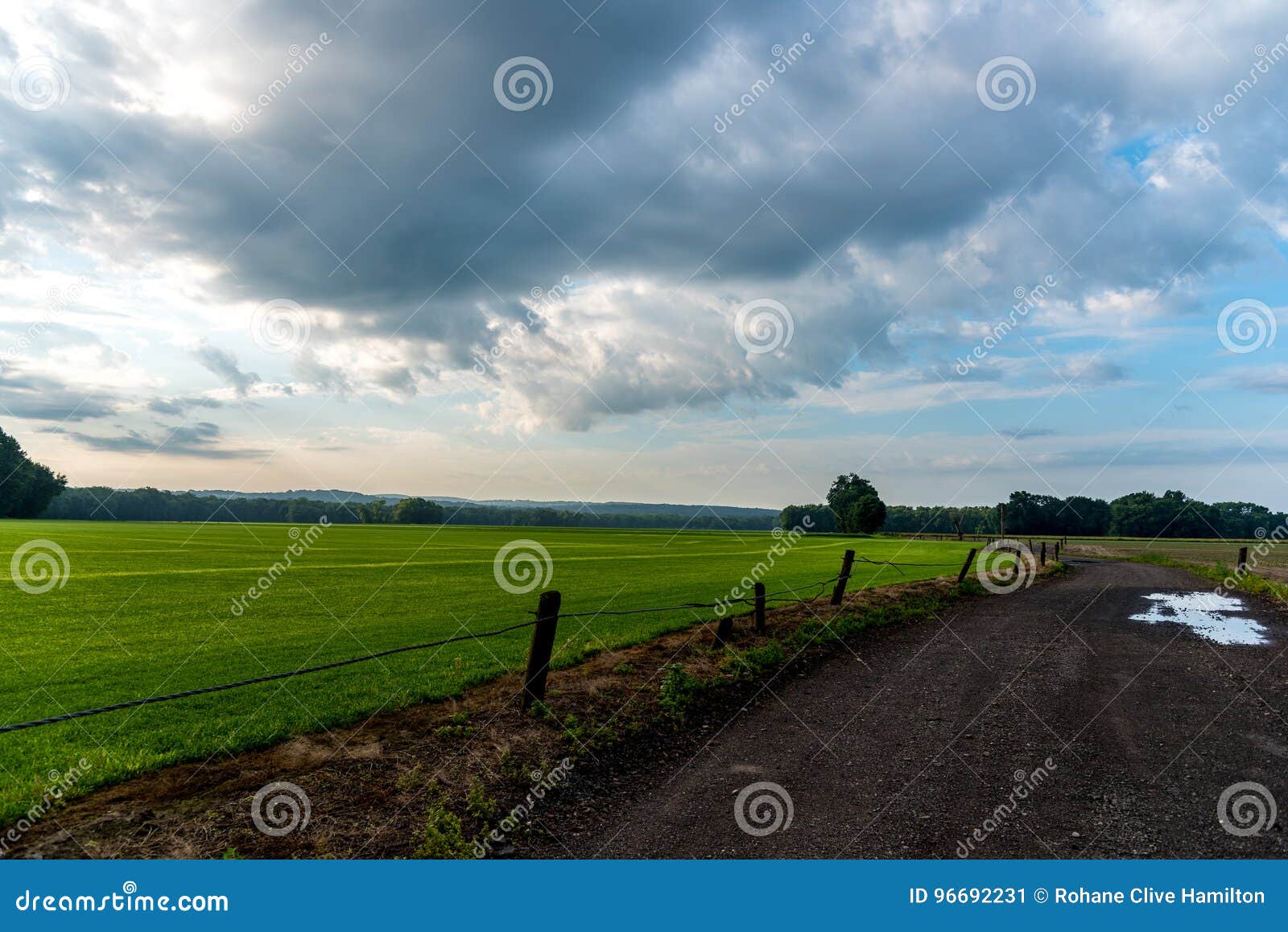 Open Green Vista Pasture Land Stock Image - Image of america, pasture ...