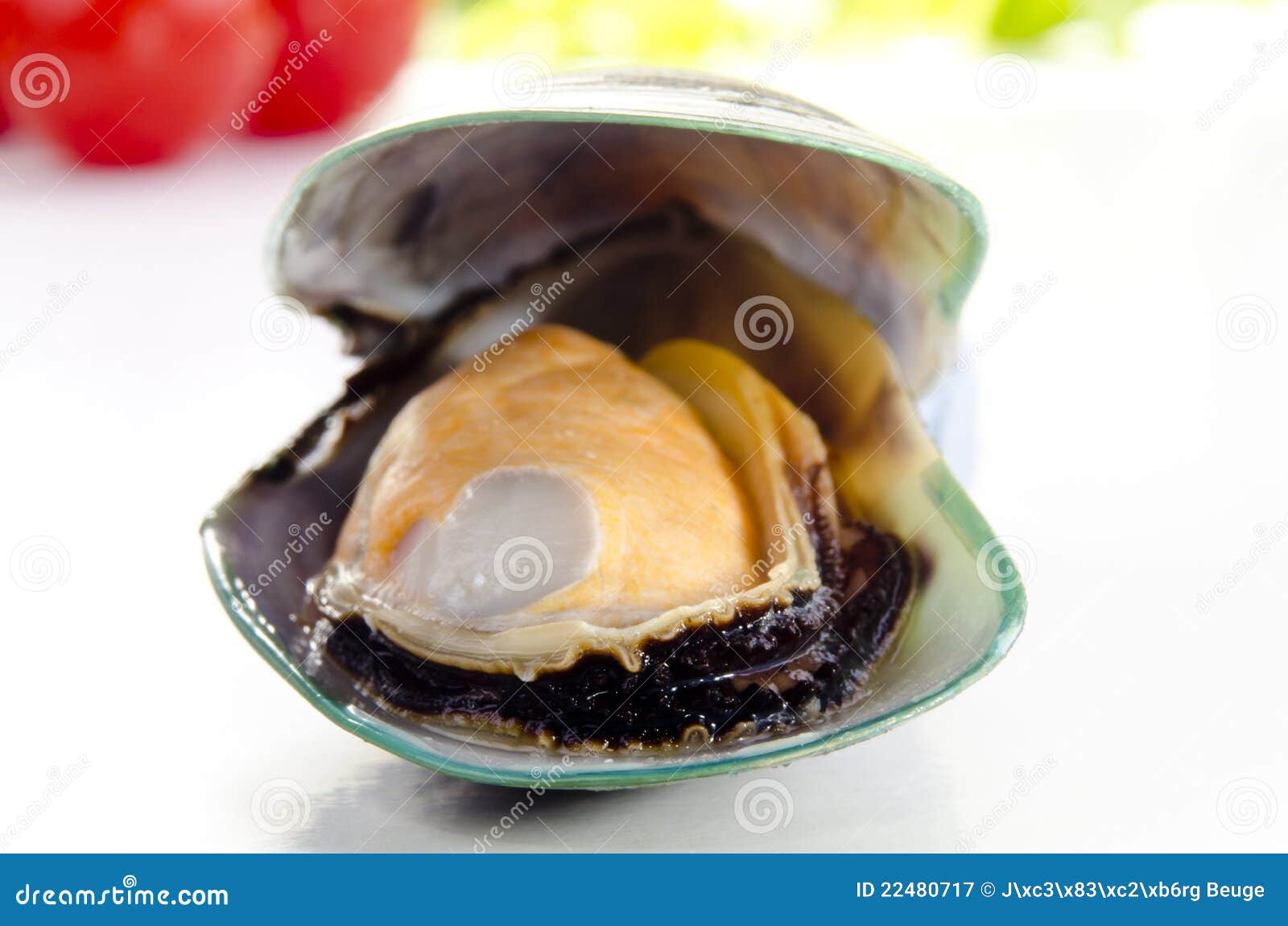 Open groene lipped mossel stock afbeelding. Image of delicatesse - 22480717