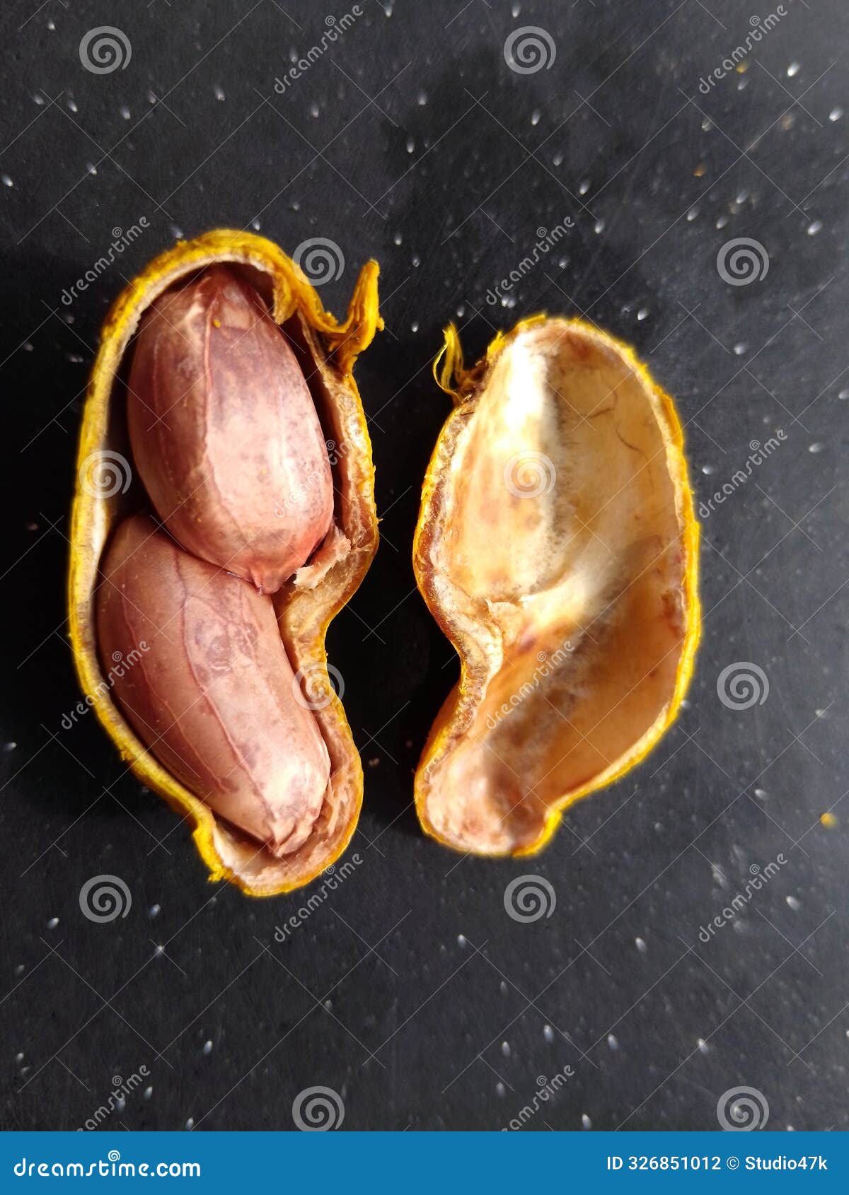 Open Groundnut Peanut with Shell on Floor Stock Photo - Image of peanut ...