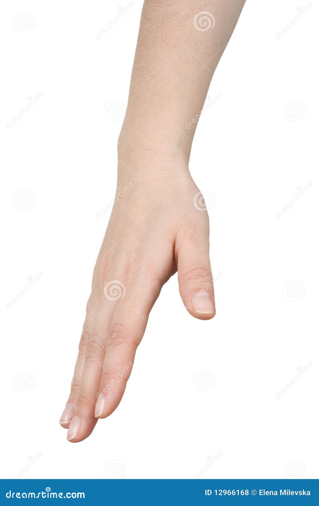 Open hand stock photo. Image of adult, help, isolated - 12966168