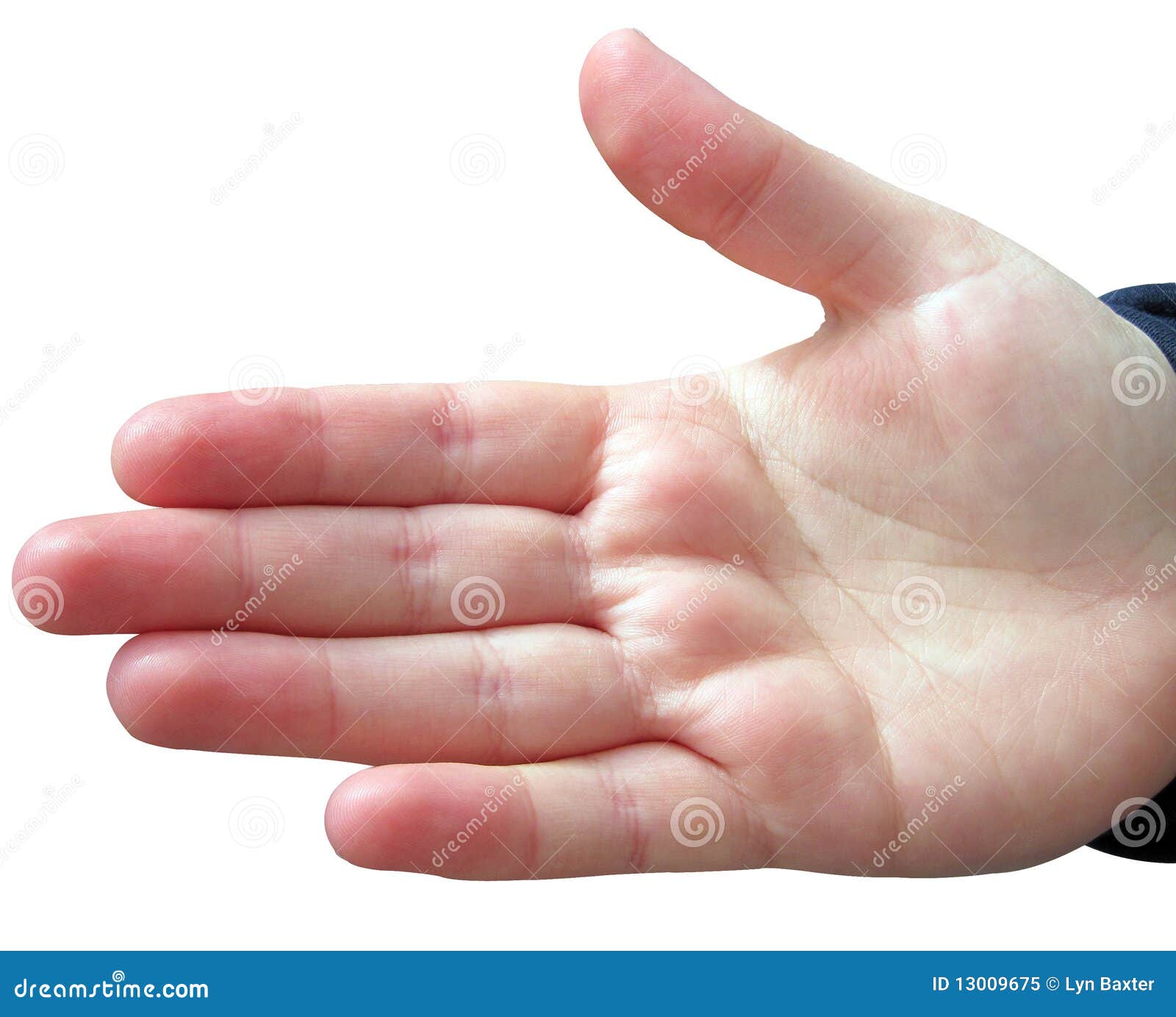 Open hand stock image. Image of background, adult, finger - 13009675