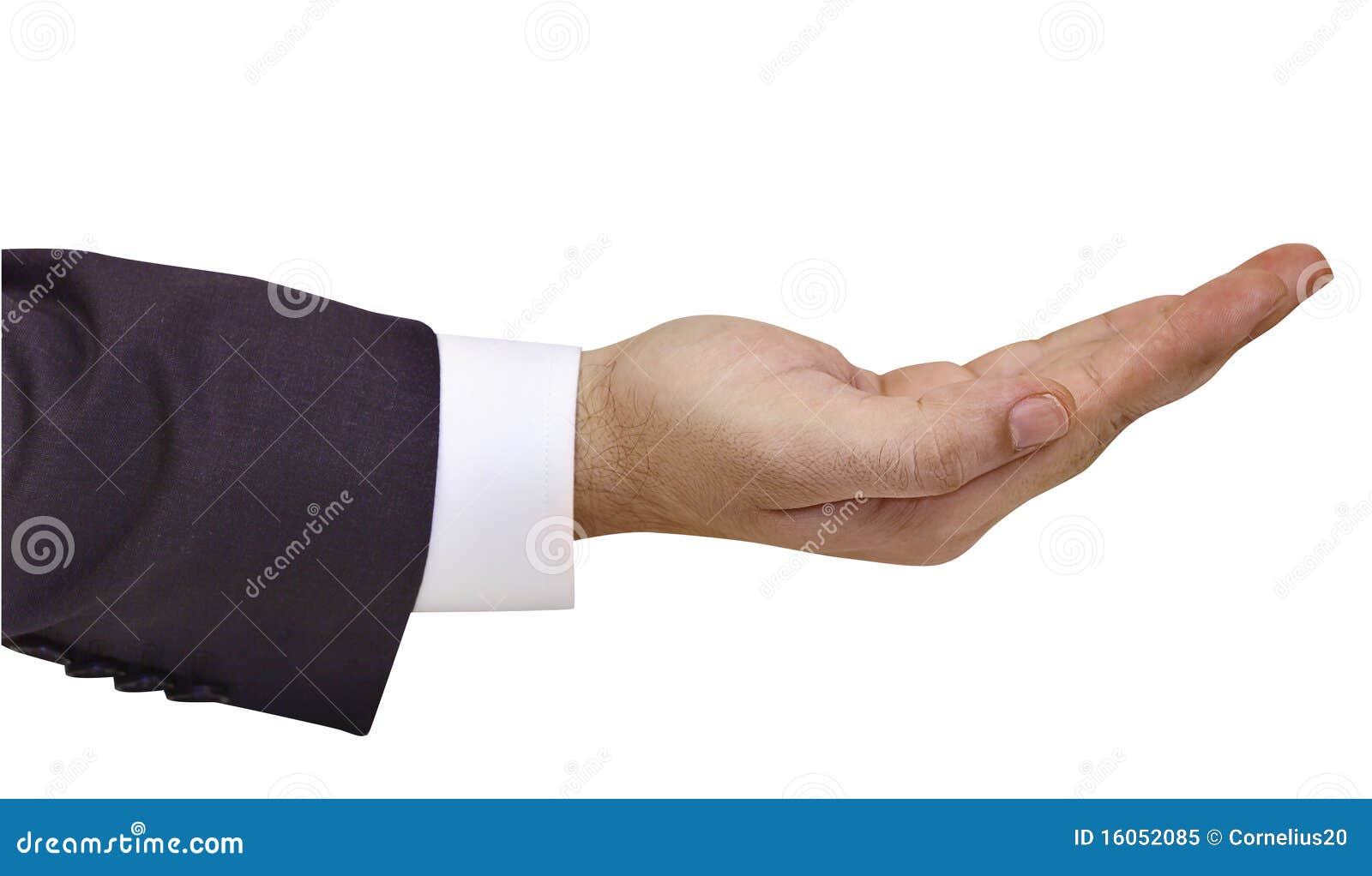 Open hand stock image. Image of palm, open, body, empty - 16052085