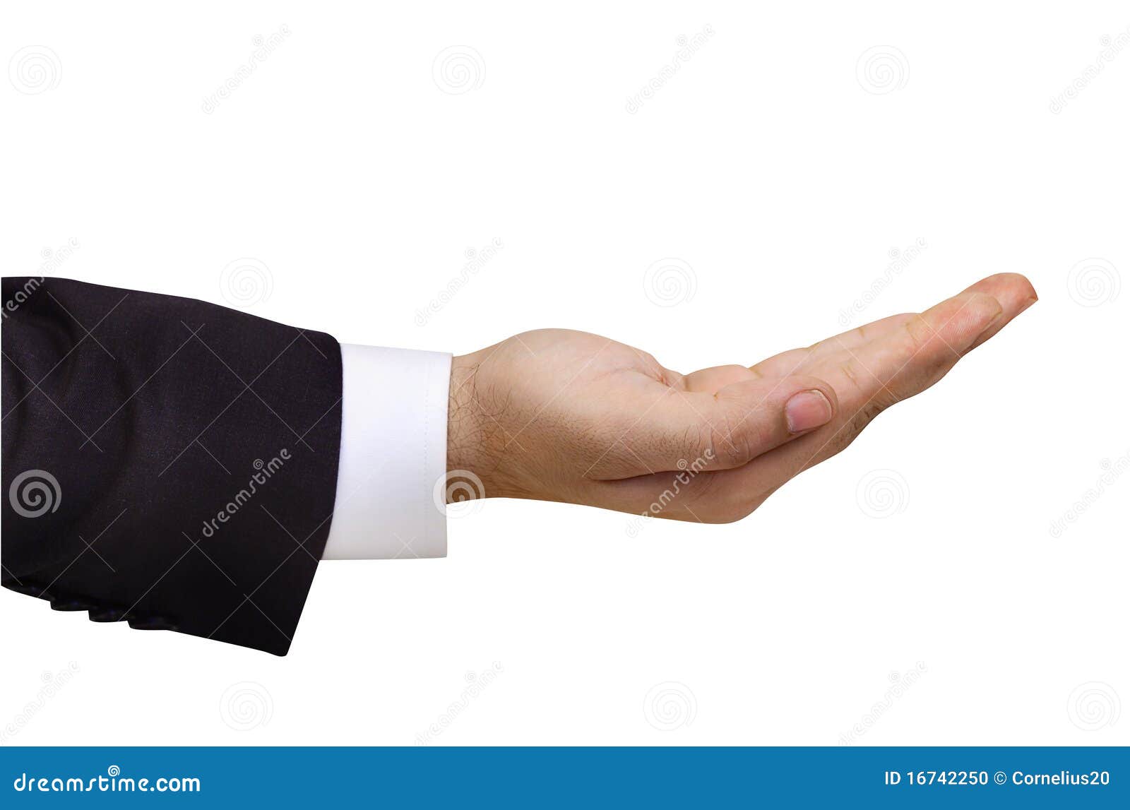 Open hand stock photo. Image of hold, skin, hand, body - 16742250