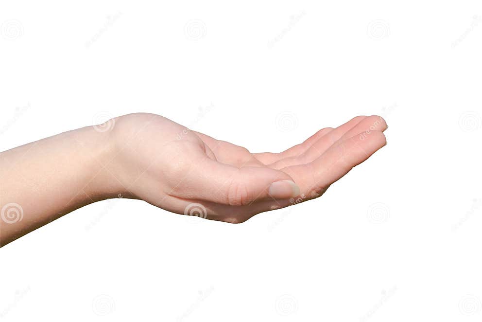 Open hand stock image. Image of wrist, view, closeup - 17017631
