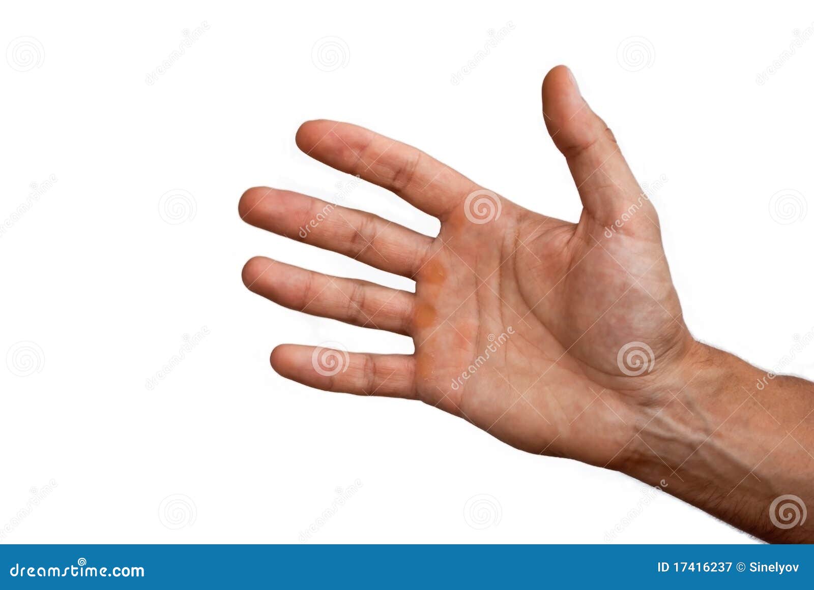 Open hand stock image. Image of gesture, sign, greeting - 17416237
