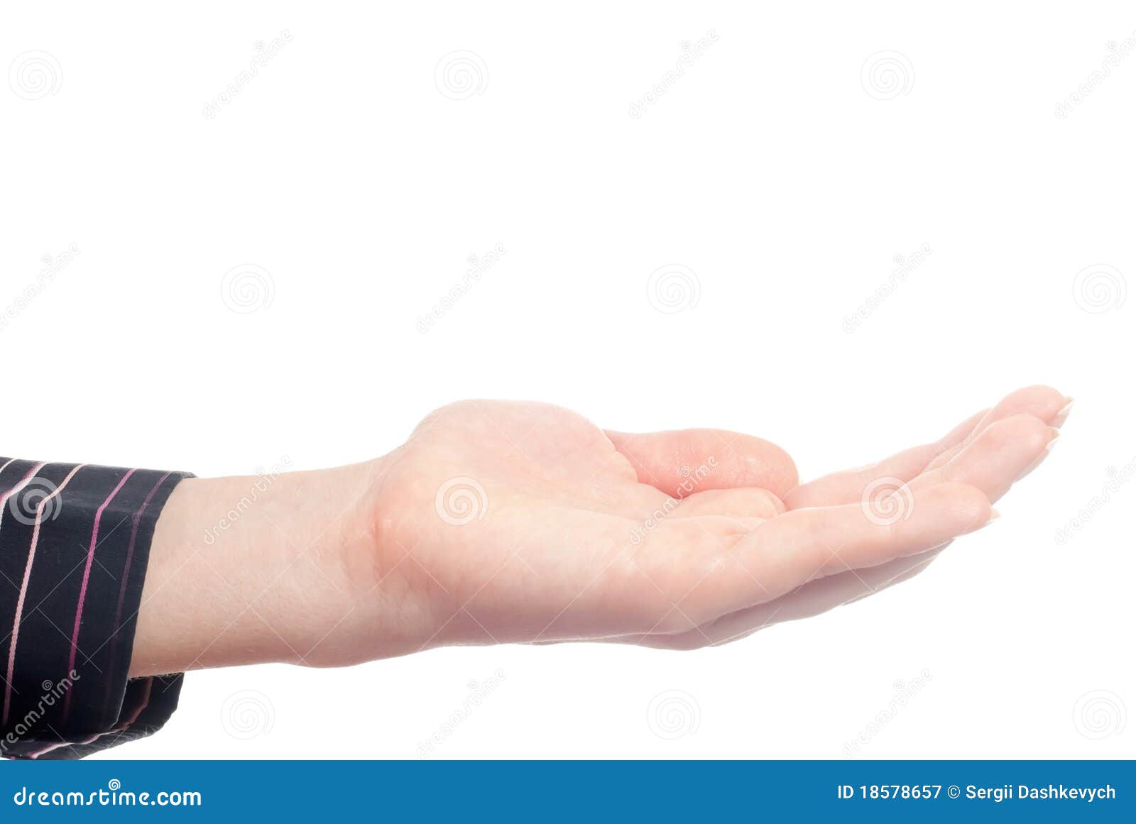 Open hand stock image. Image of isolated, copy, nature - 18578657
