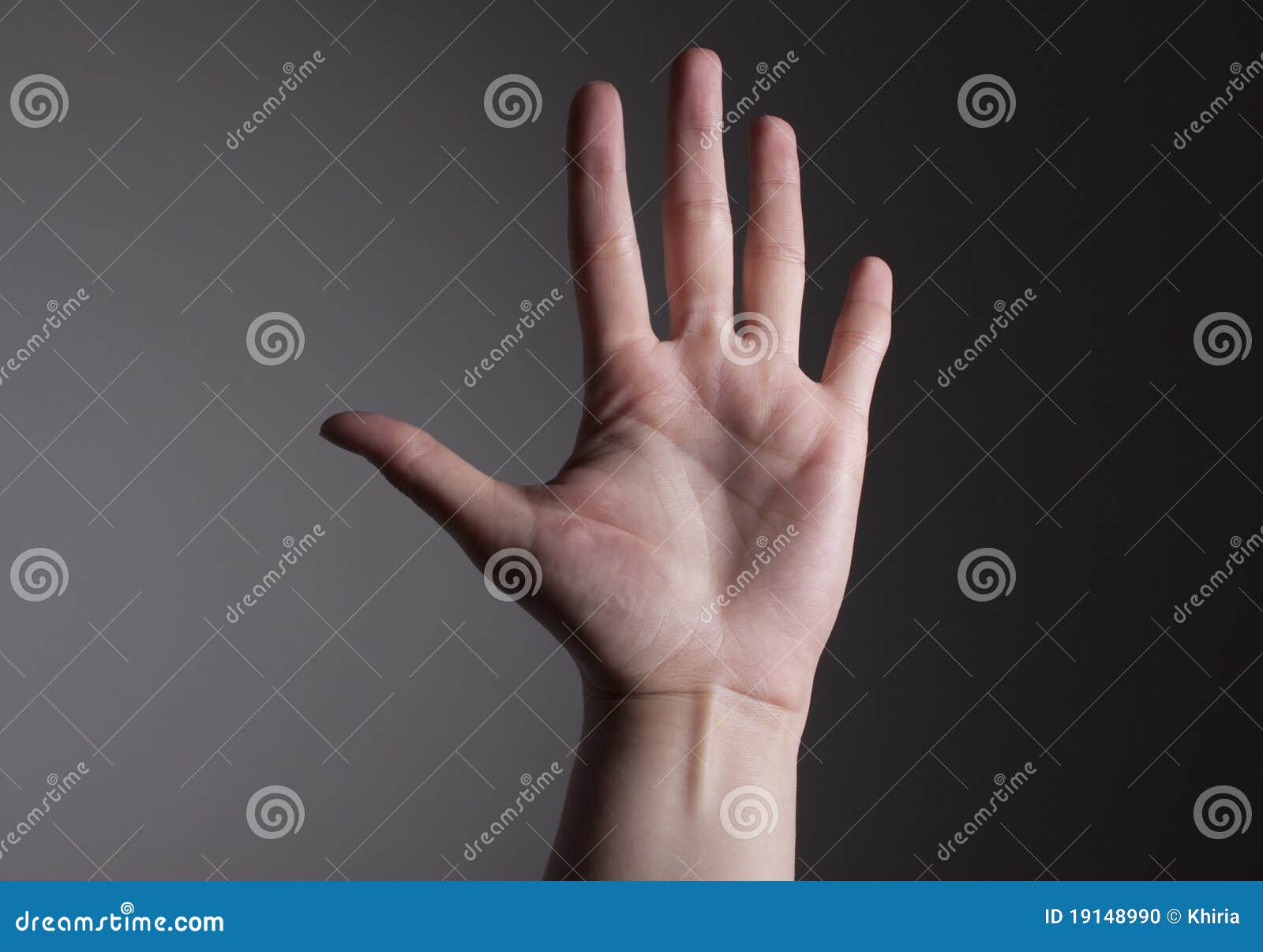 Open hand stock photo. Image of hand, body, finger, nail - 19148990