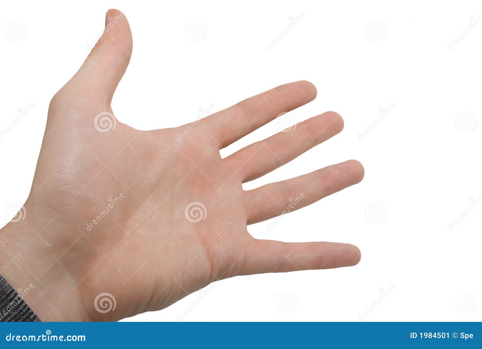 Open Hand Picture. Image: 1984501