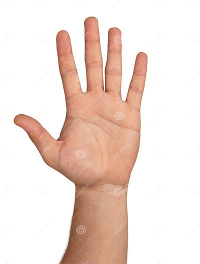 Open hand stock photo. Image of clipping, finger, close - 20912298
