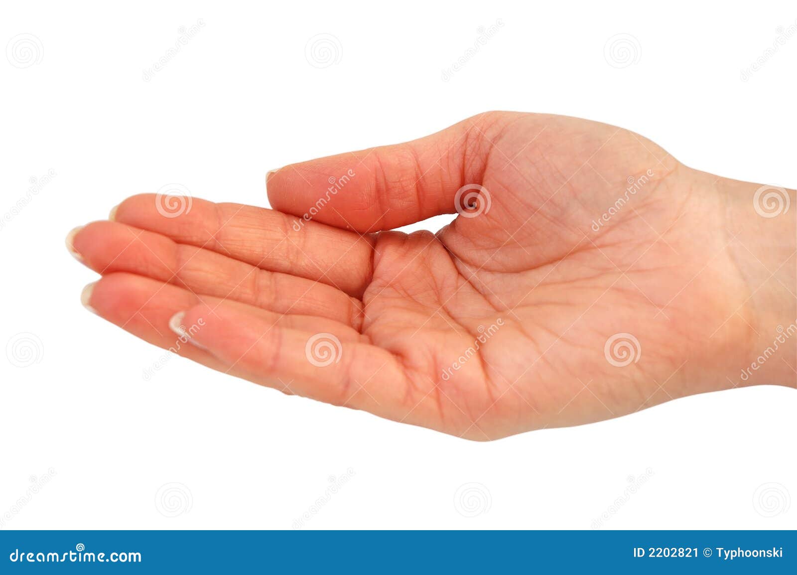 274 Blank Hand Anatomy Stock Photos - Free & Royalty-Free Stock Photos ...