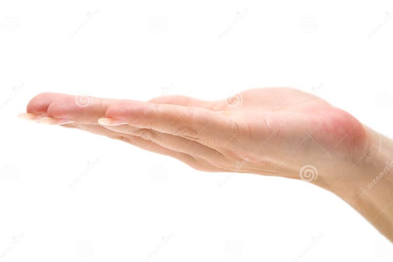 Open Hand stock image. Image of females, assistance, giving - 4259841