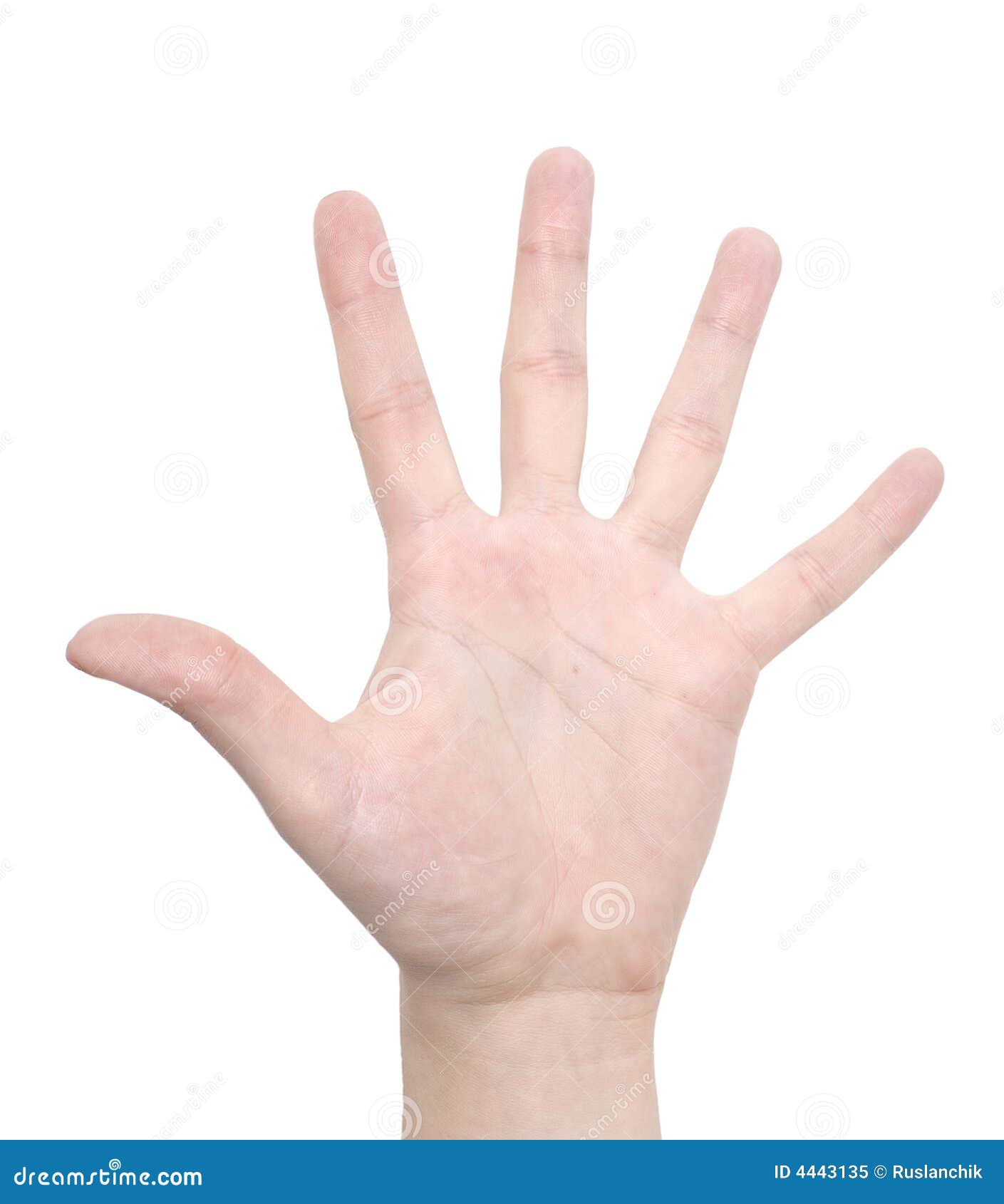 Open Hand Royalty Free Stock Photo - Image: 4443135